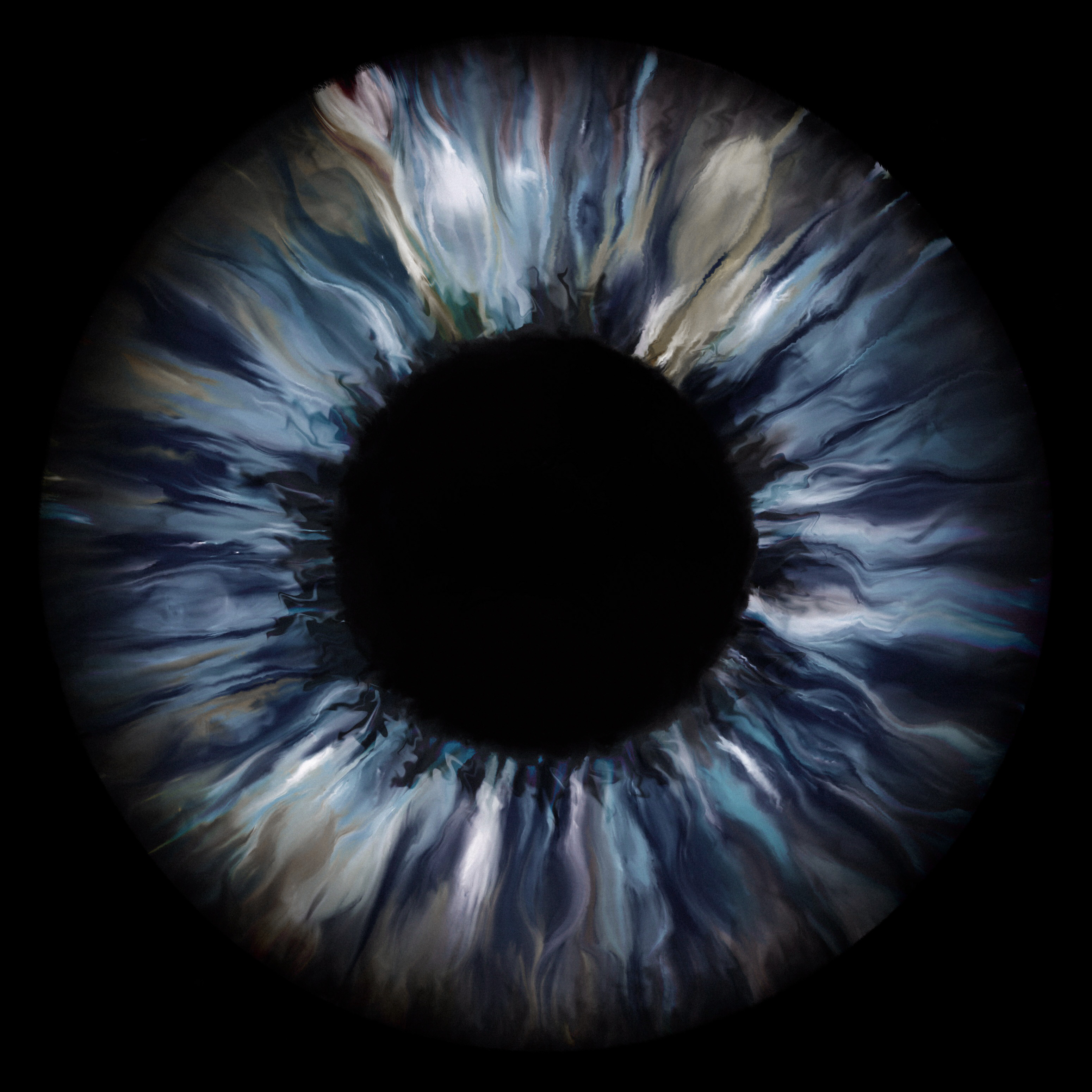 The Black Hole | Foundation