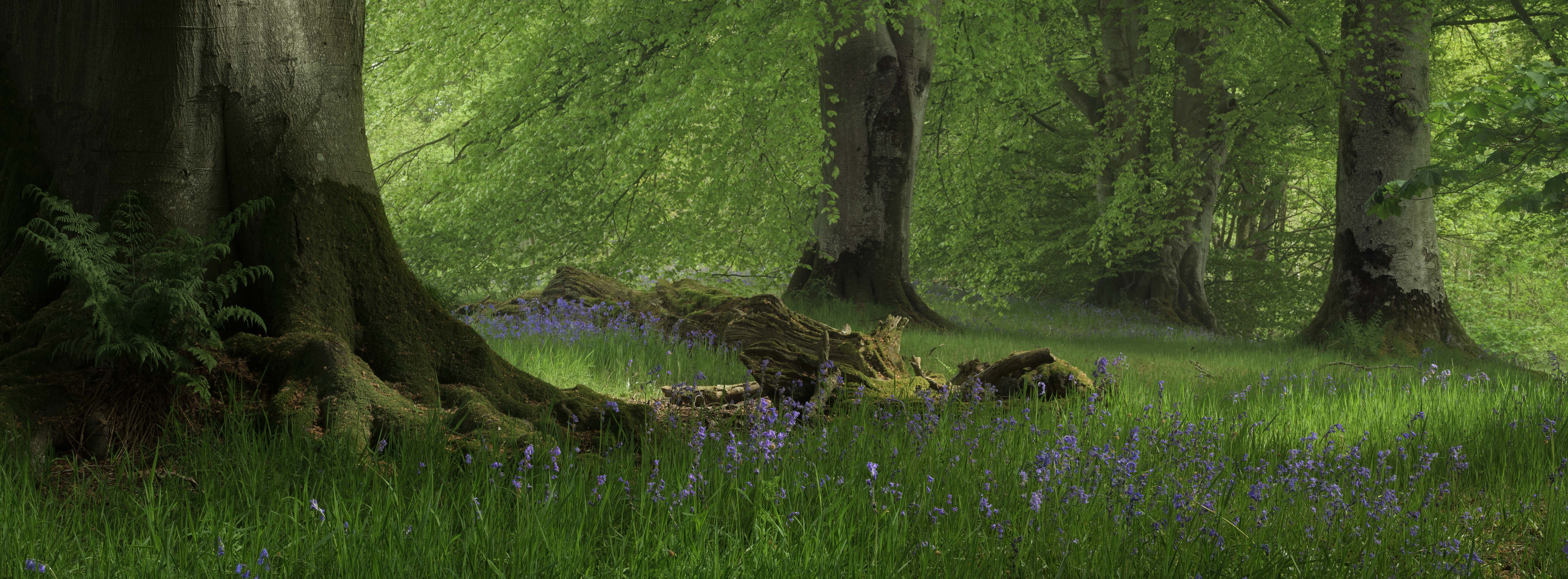 Raw Nature 3 | Foundation