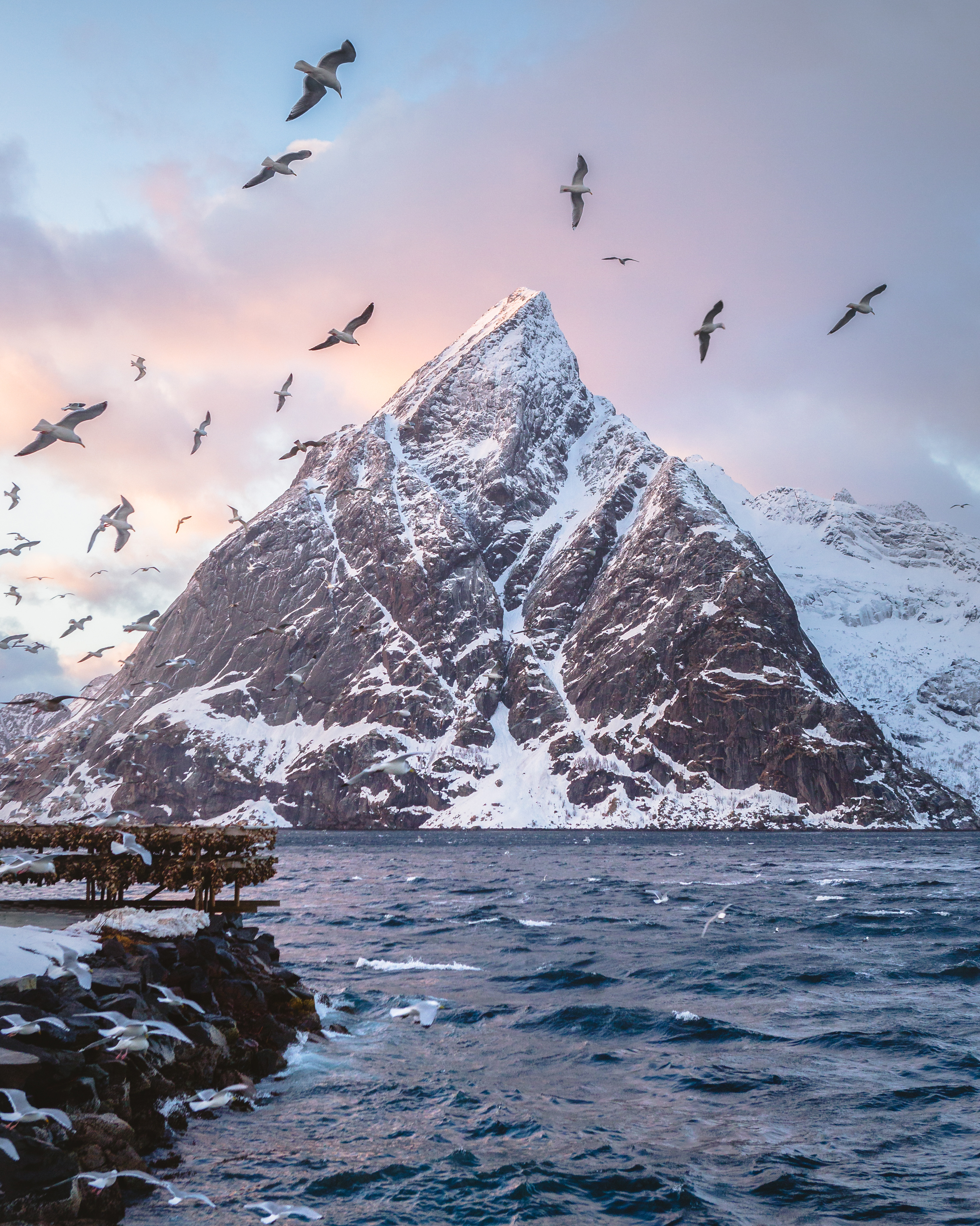 Arctic Winds | Foundation