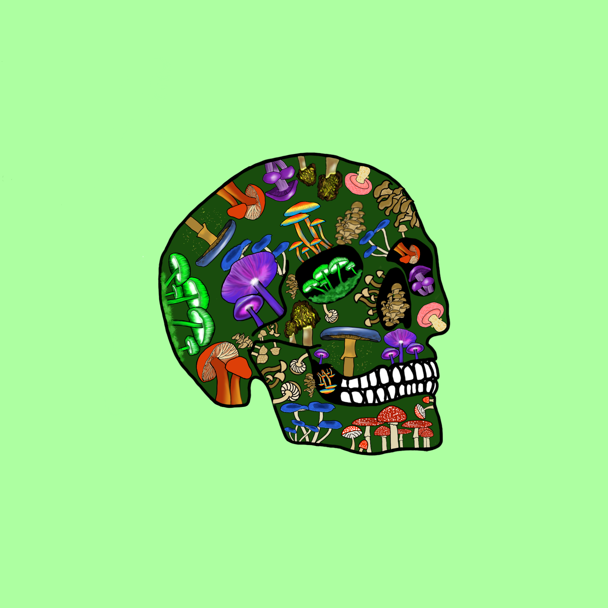 Skull Art | Foundation