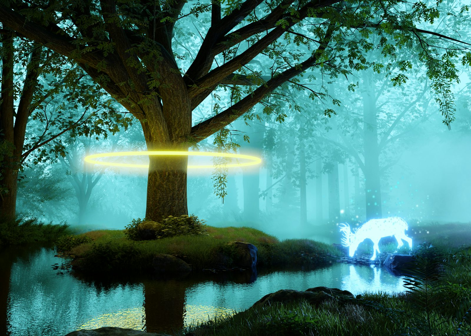 Enchanted Forest | Foundation