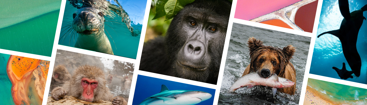 Jennifer Martin - Legacy Collection | Foundation