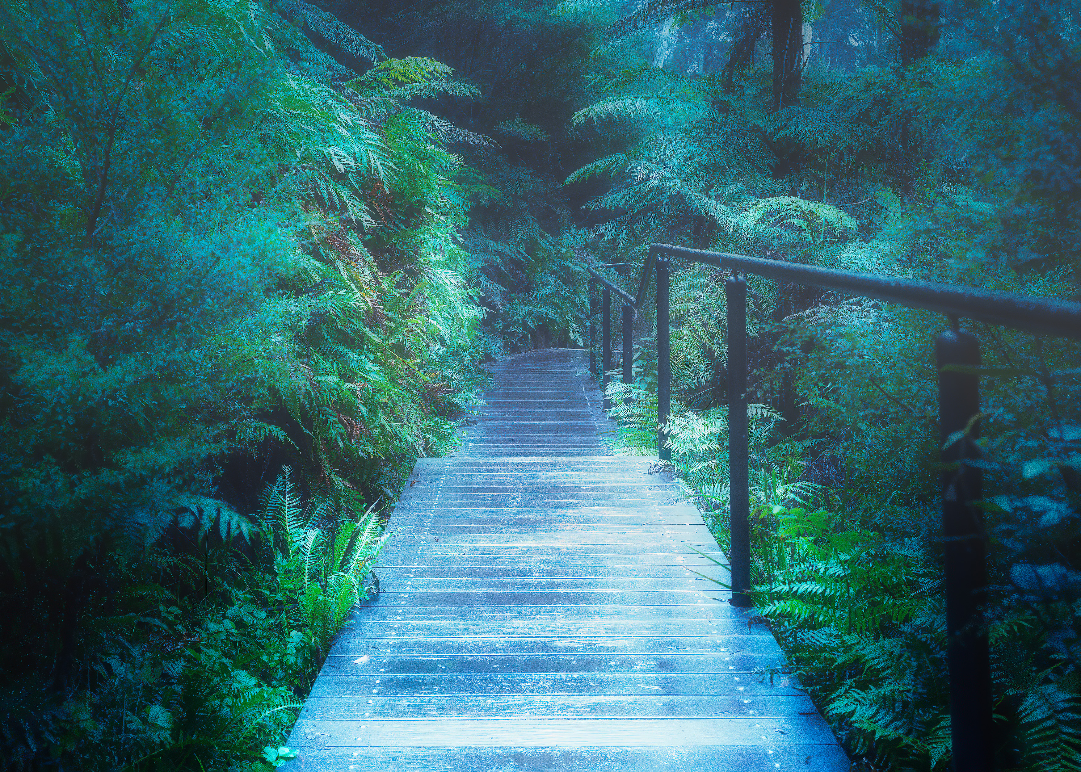 The SMBR Collection | Foundation