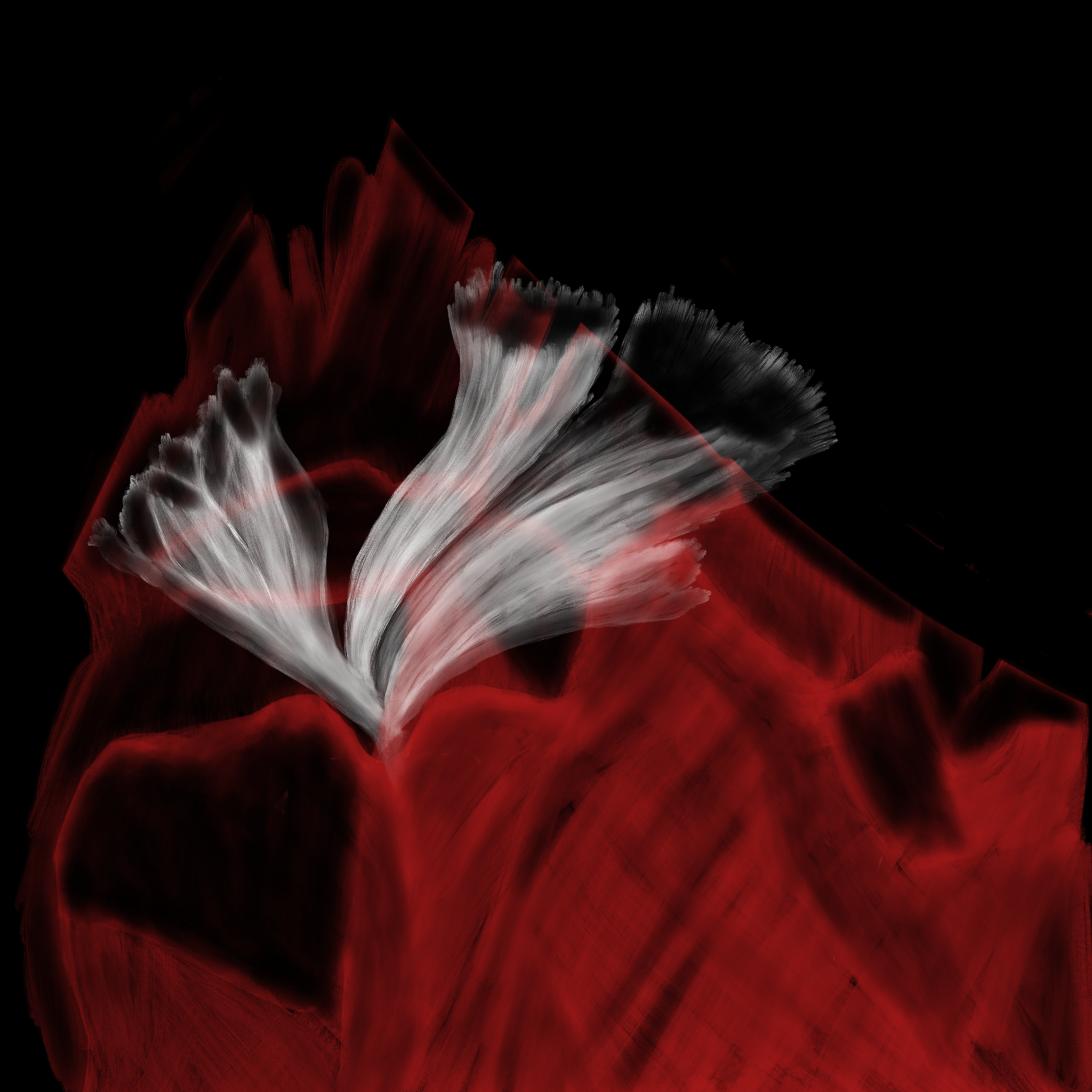 dead nature | Foundation