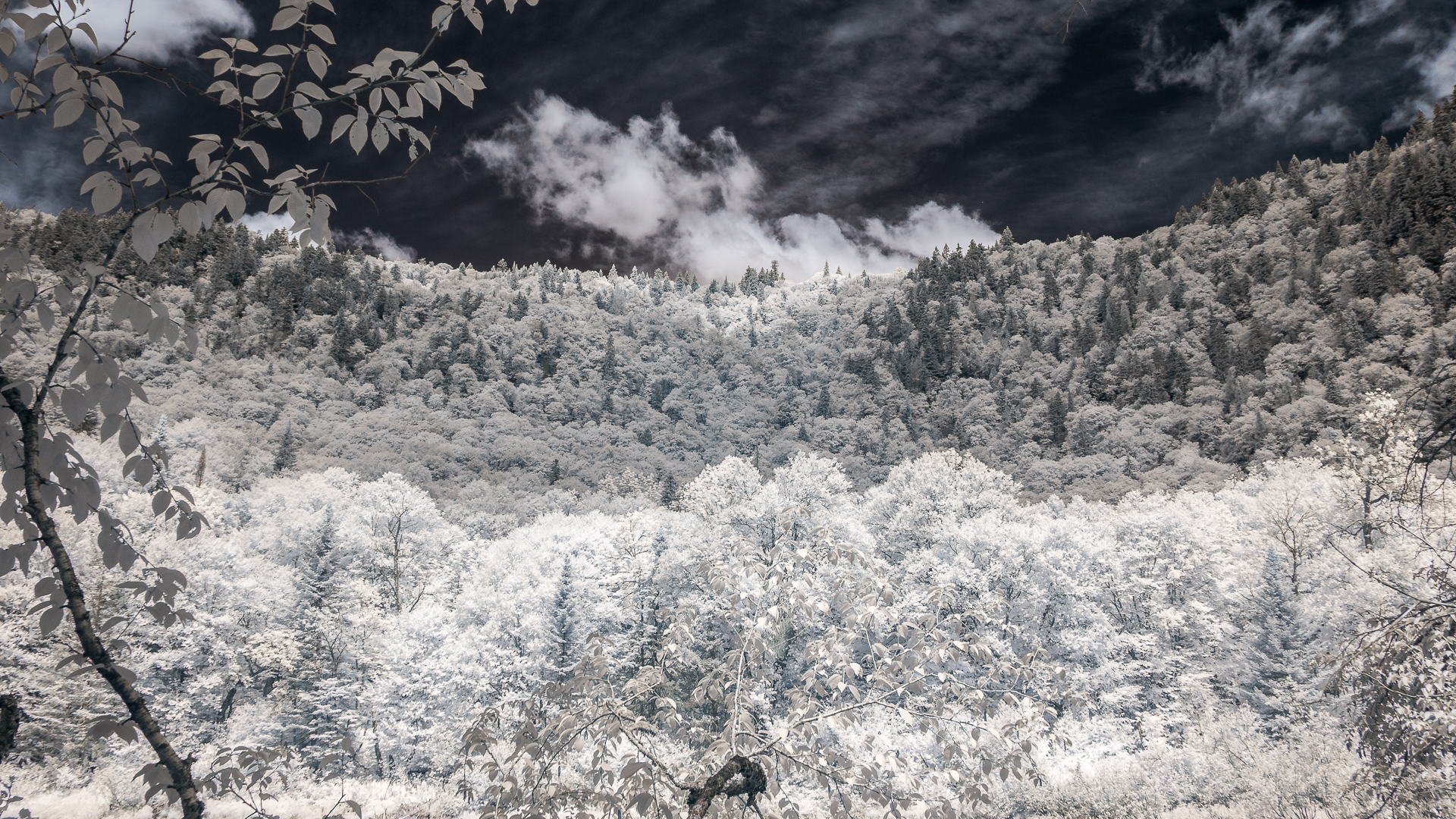 infra🔴 | Foundation