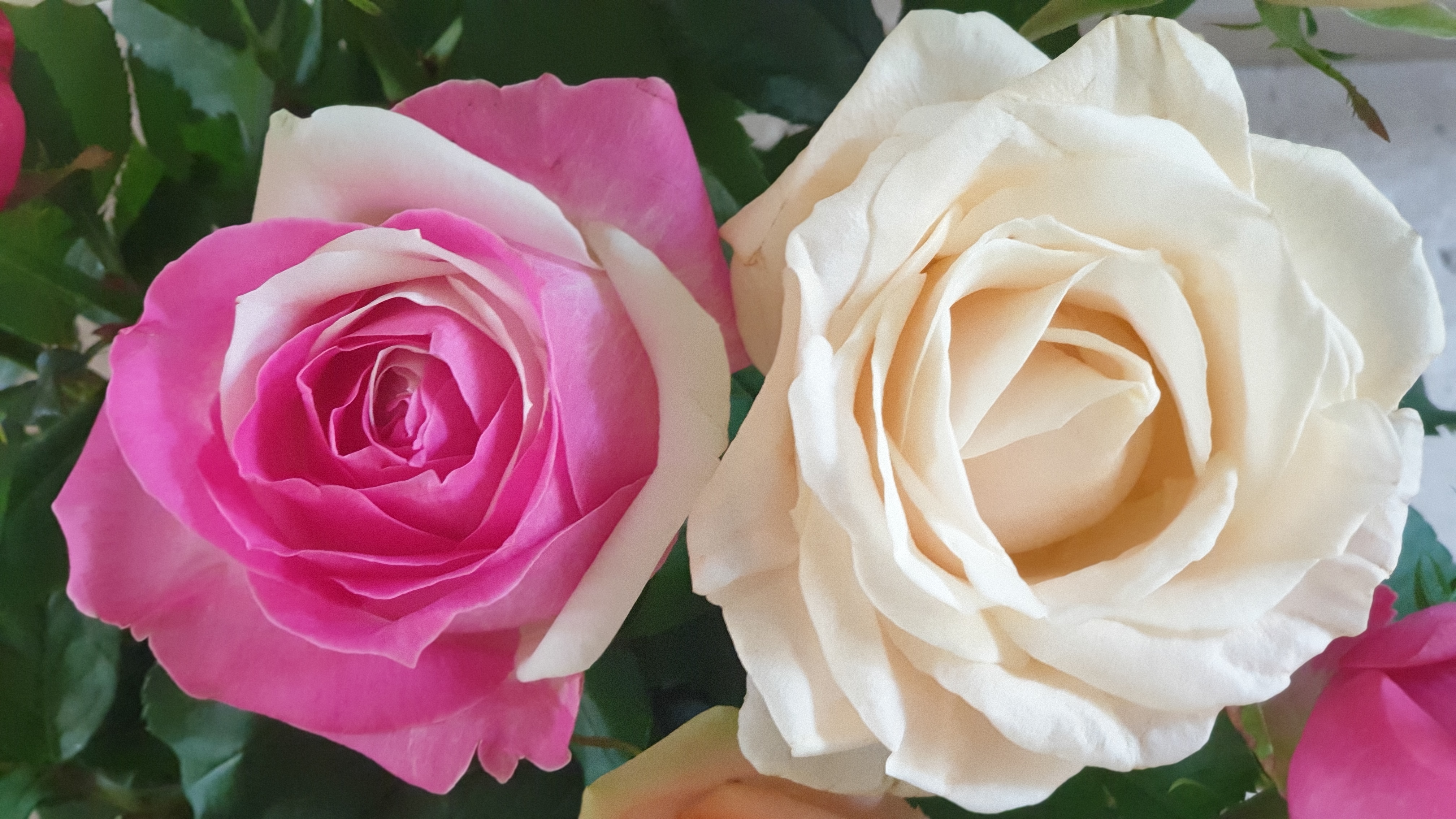 About Life | Foundation