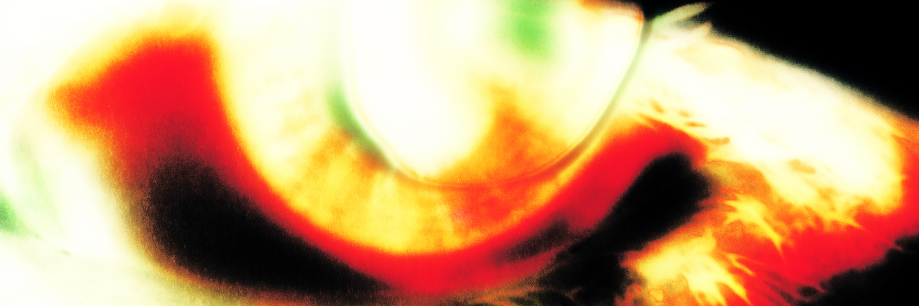 Everything or Nothing | Foundation