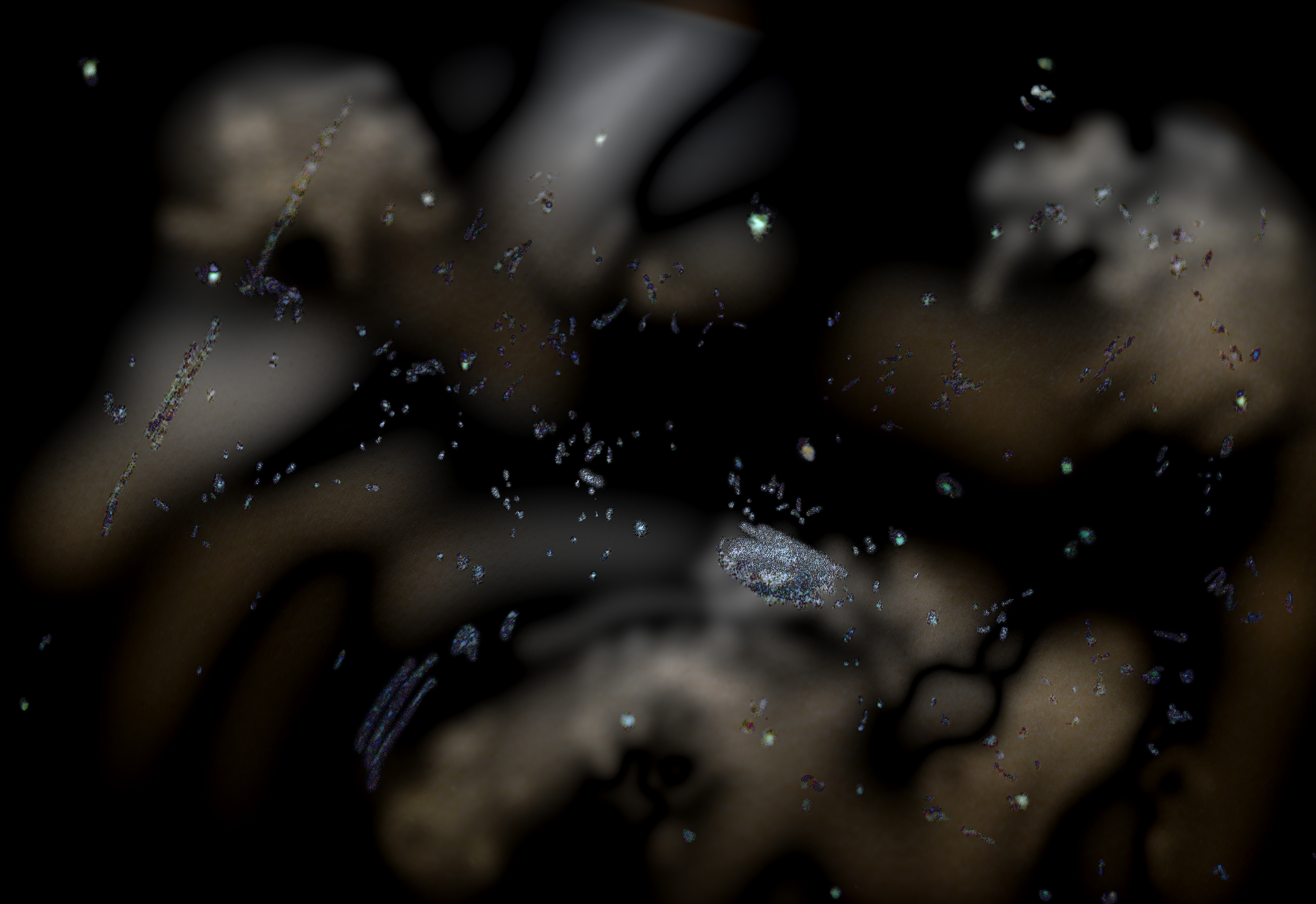 The Intentional Object | Foundation