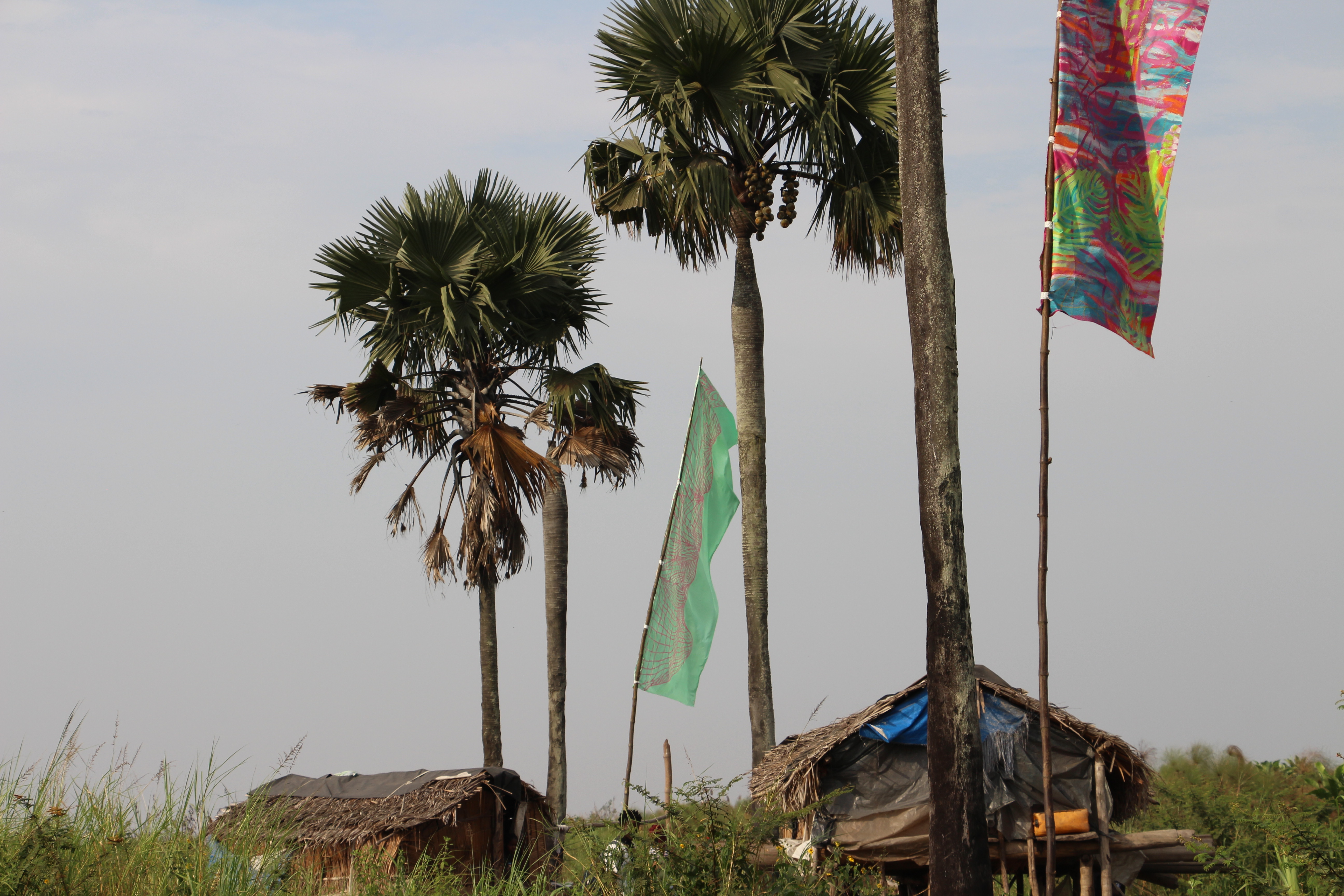 Pool Malebo | Foundation