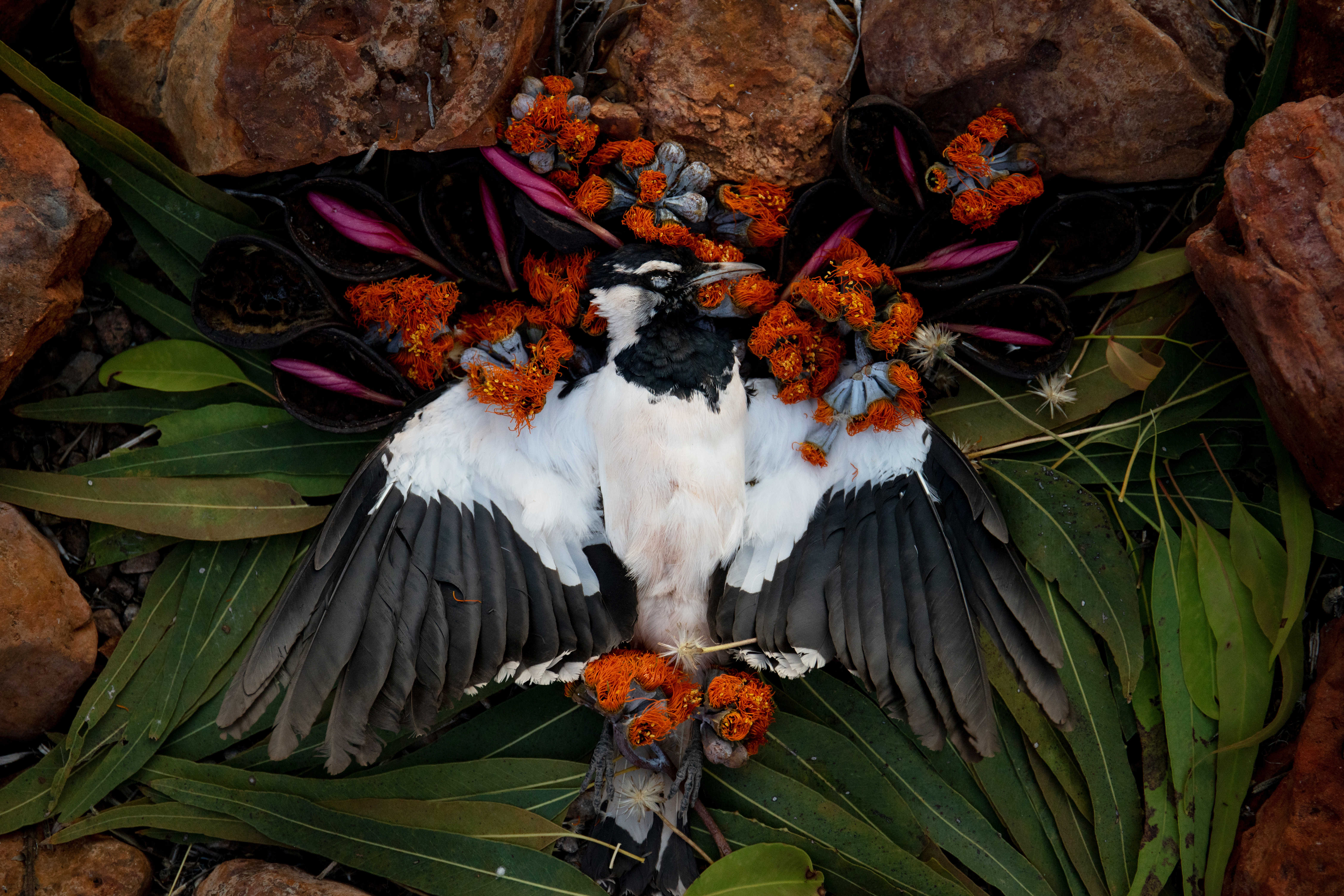 Burial Rites | Foundation