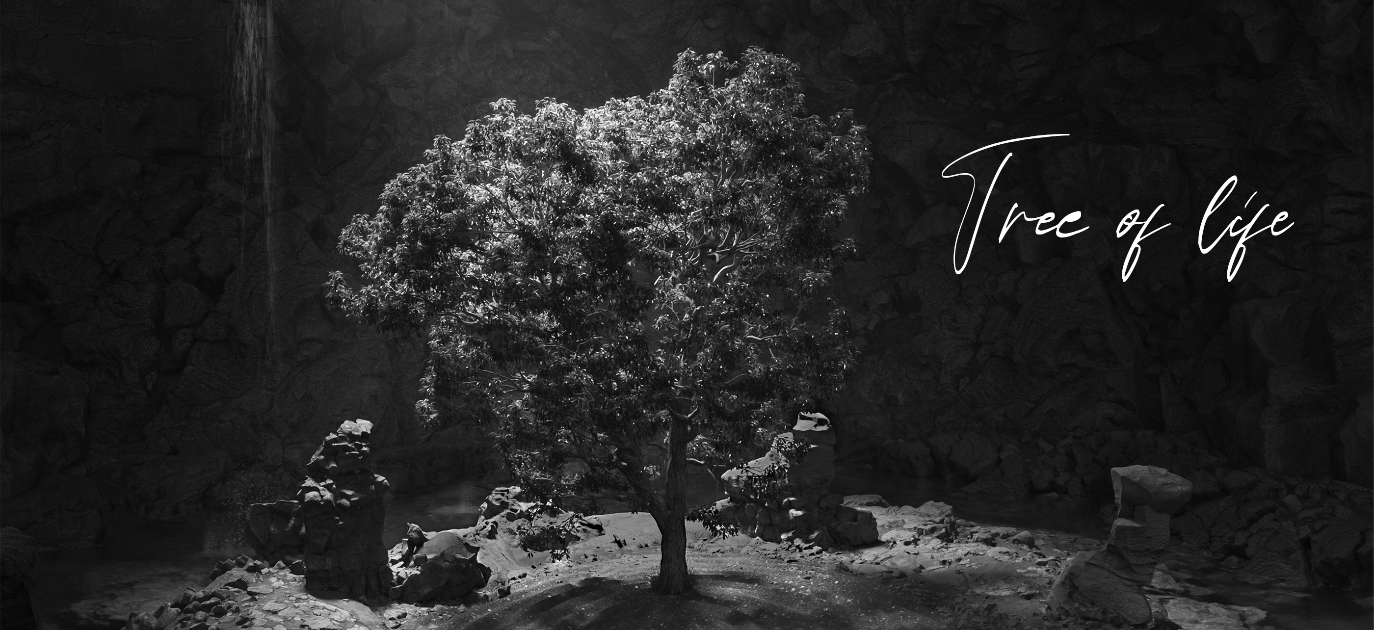 Tree of Life | Foundation