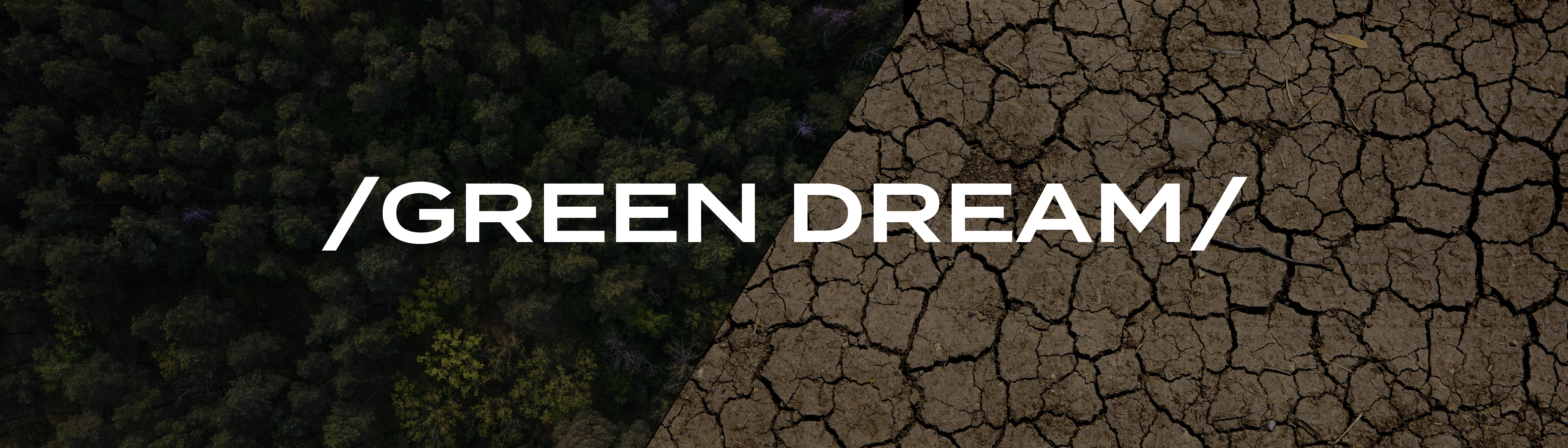 GREEN DREAM | Foundation