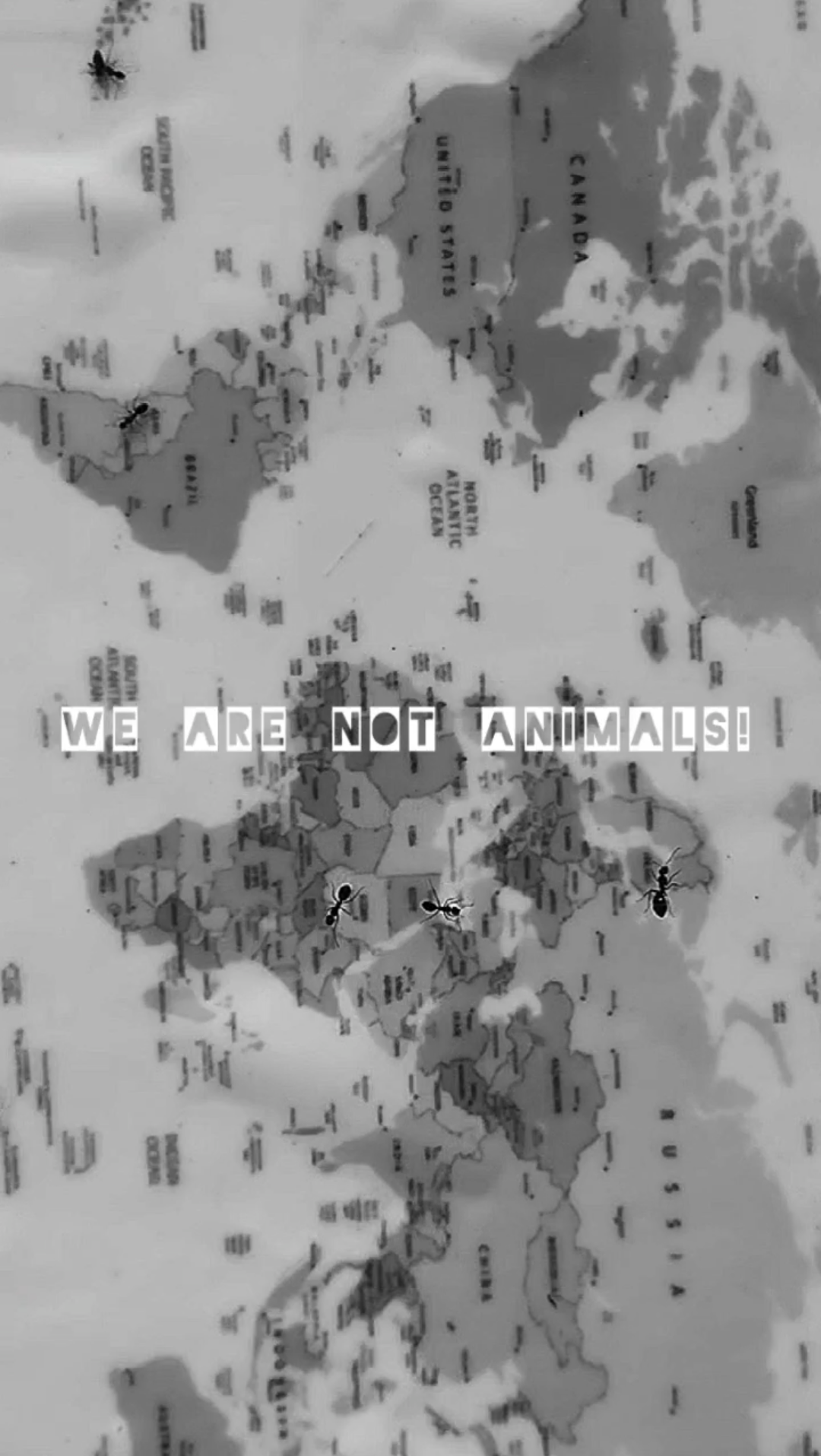 We are not animals ! | Foundation
