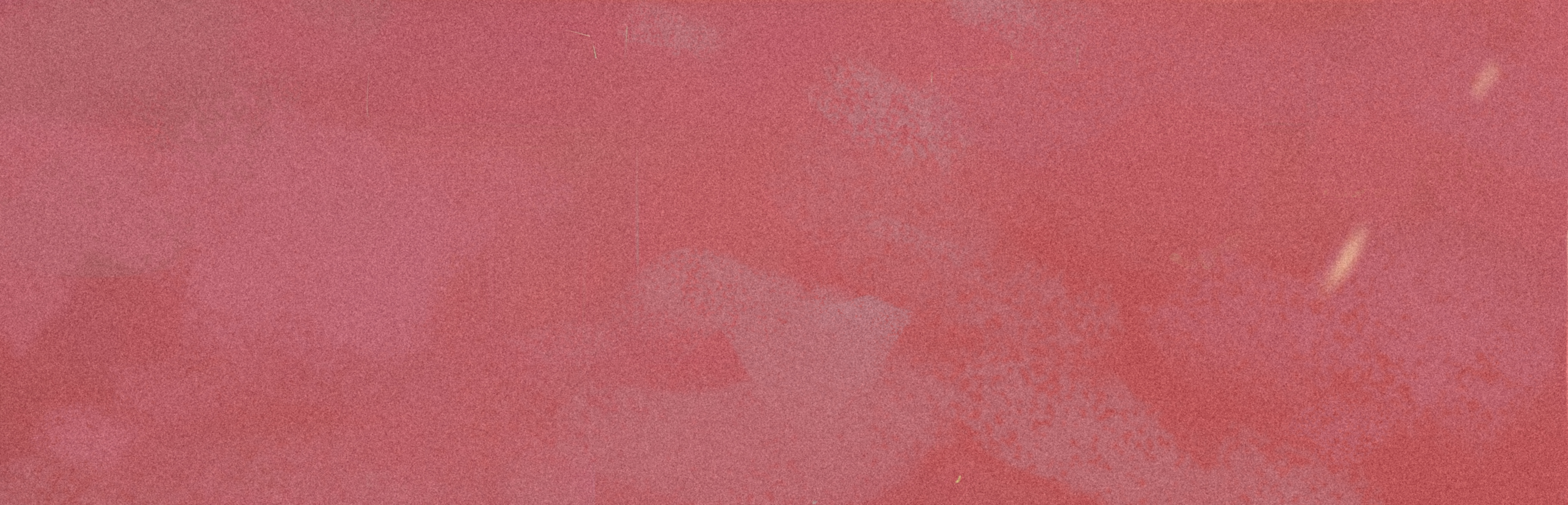 Scarlet Series | Foundation