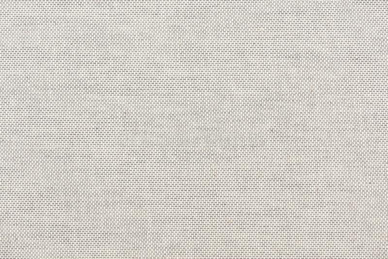 Alien beauty | Foundation