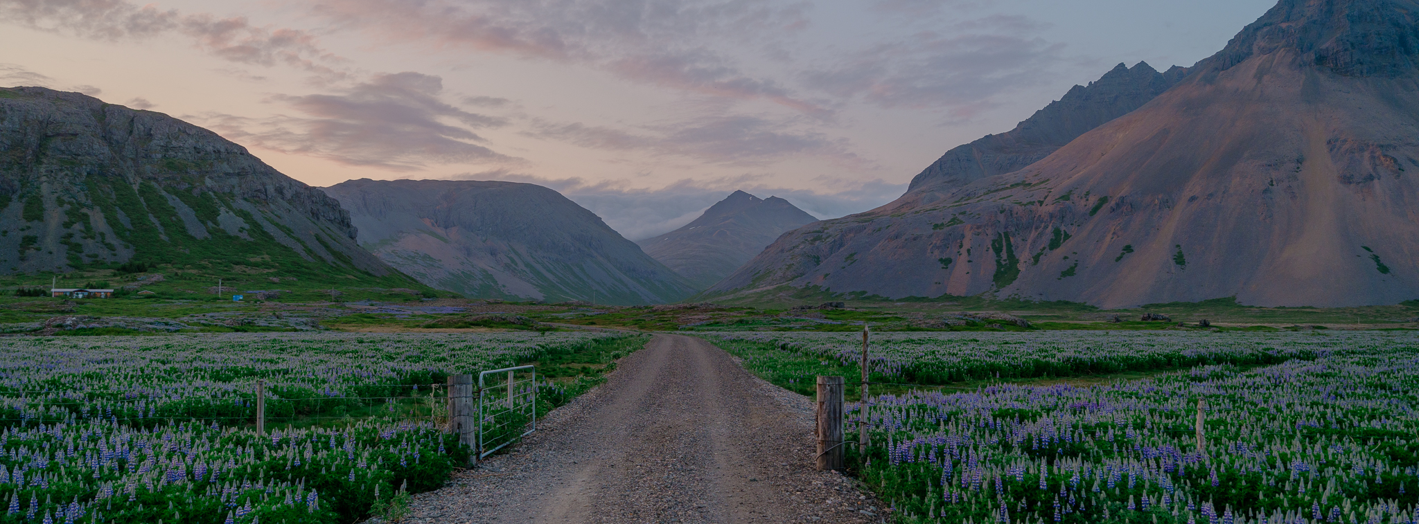 Eternal Glow | Foundation