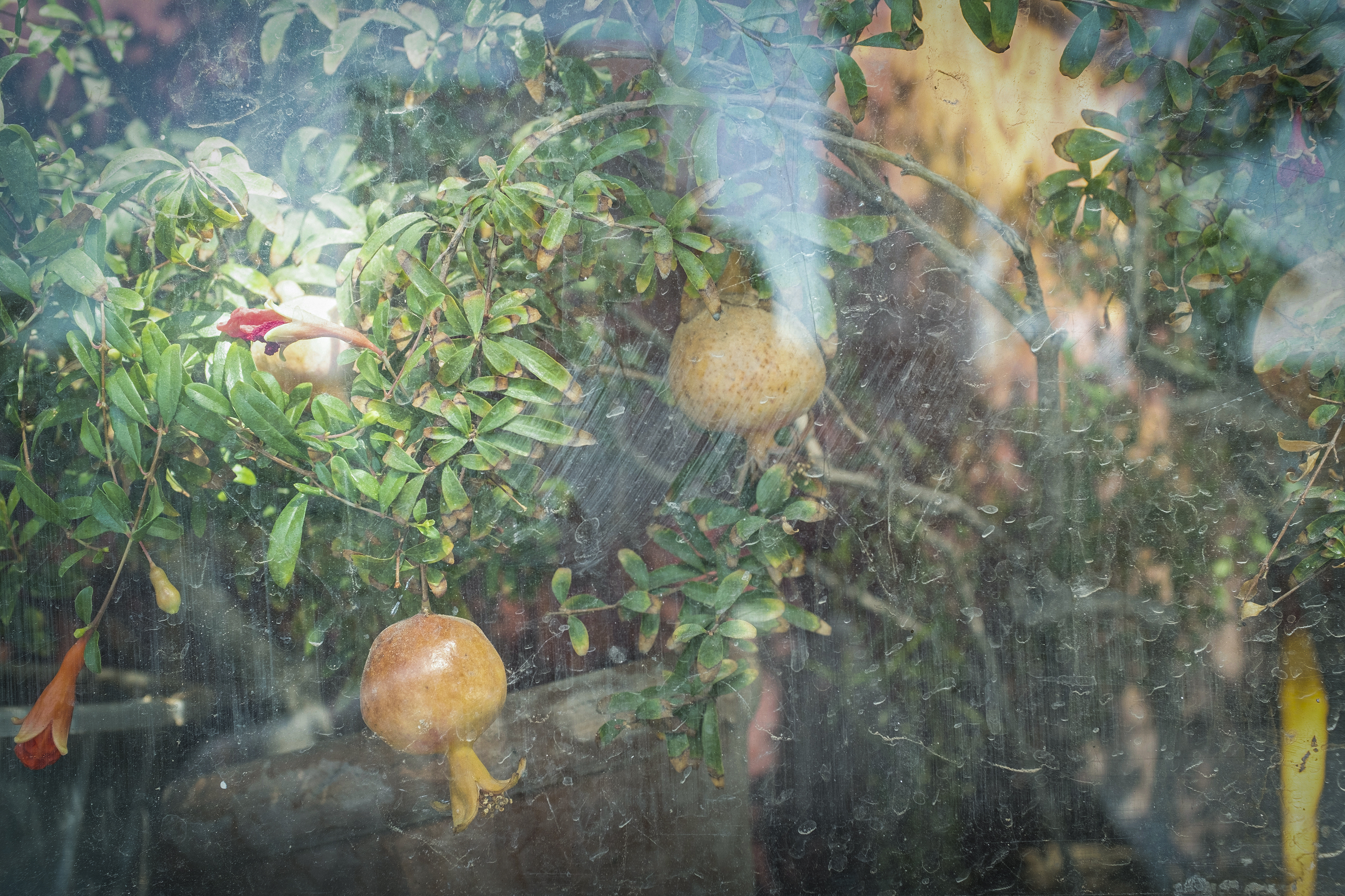 Chromatic Chronicles | Foundation