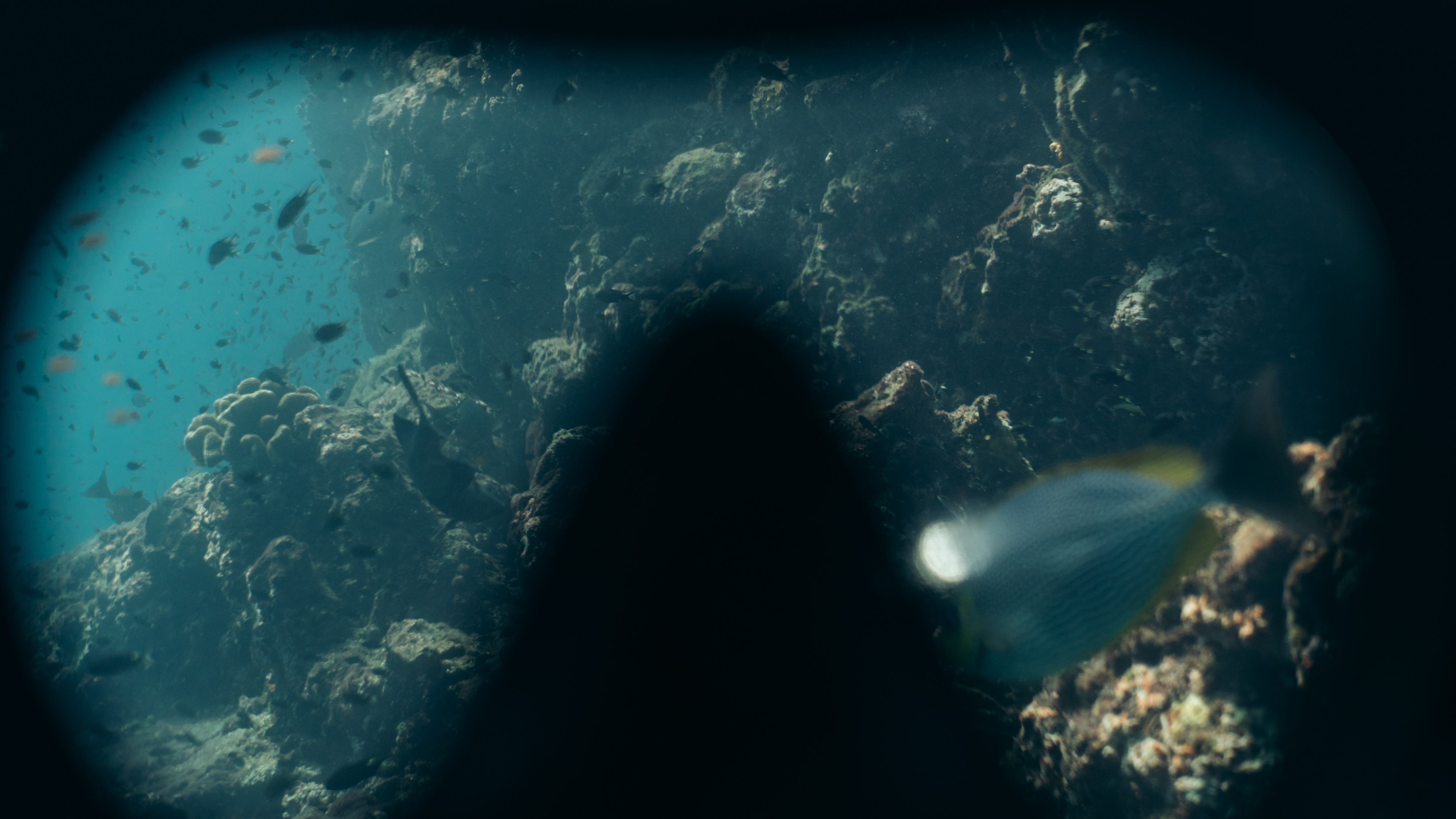 Submerged | Foundation