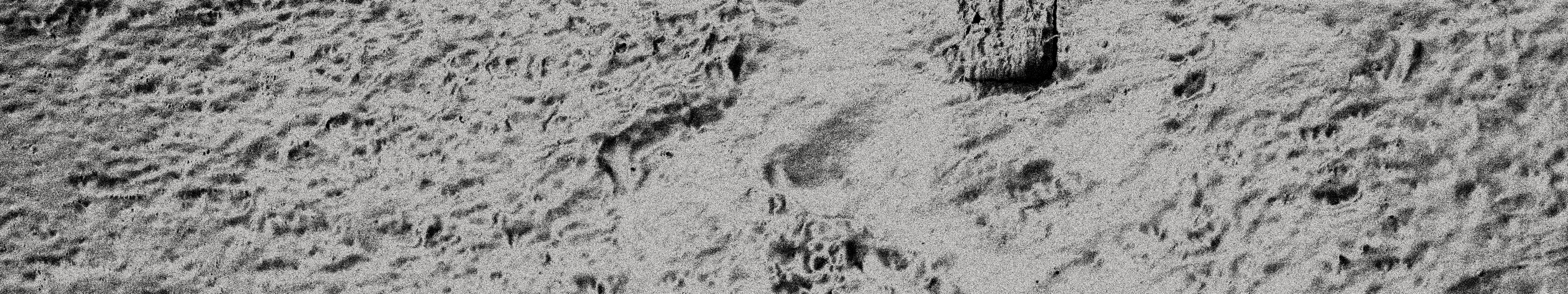 /fotopsie | Foundation