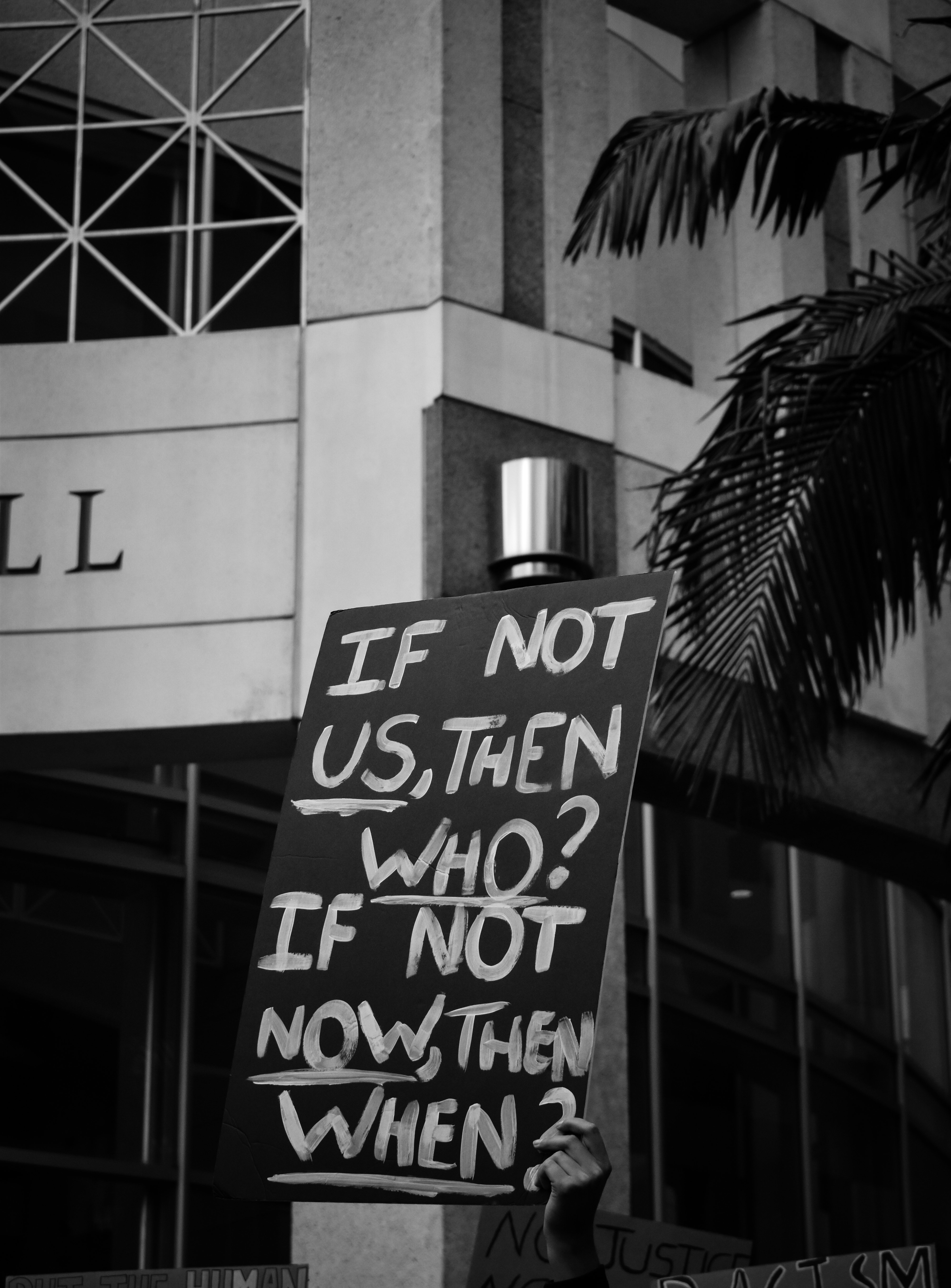 Visual Activism | Foundation