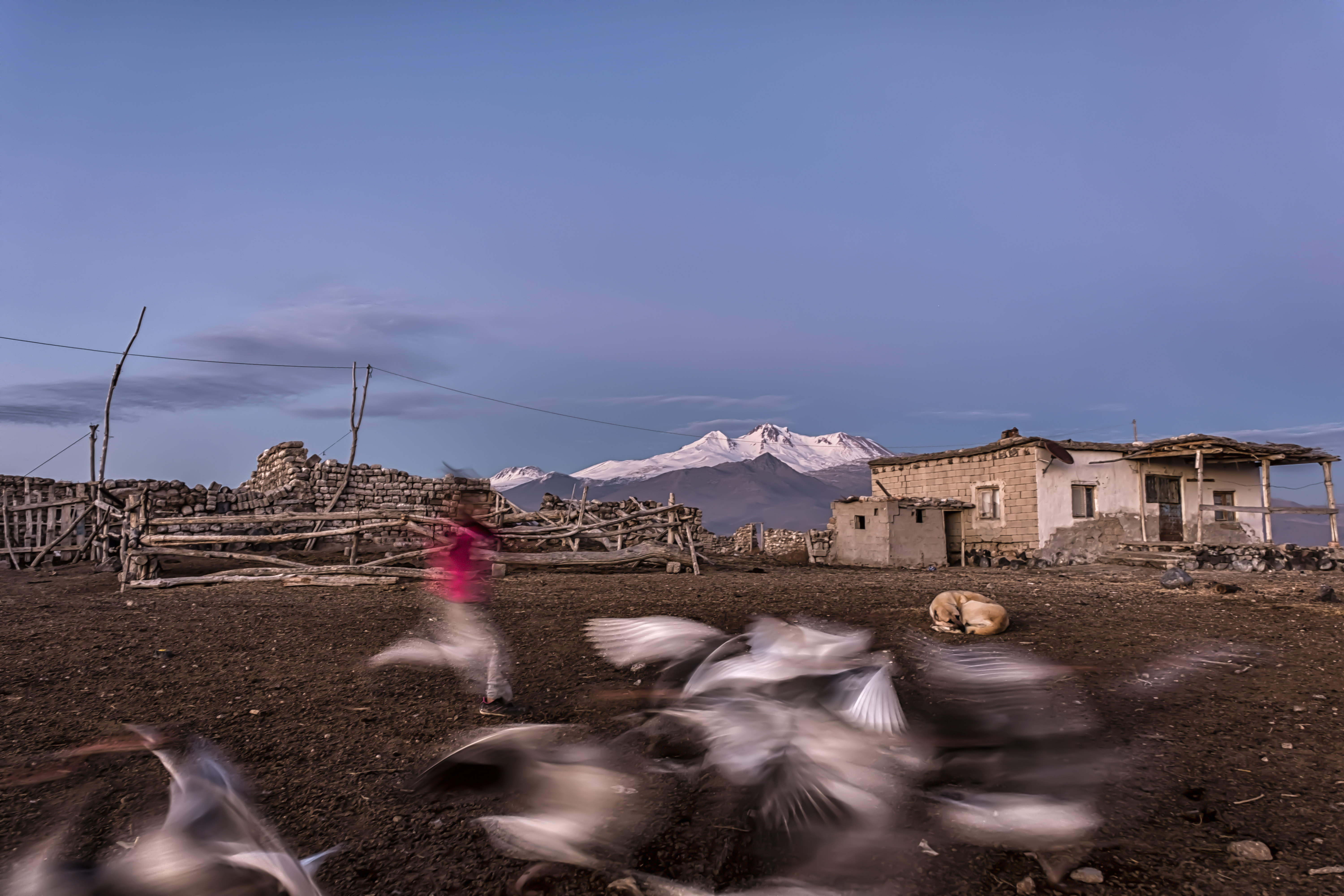 Snowdrop | Foundation