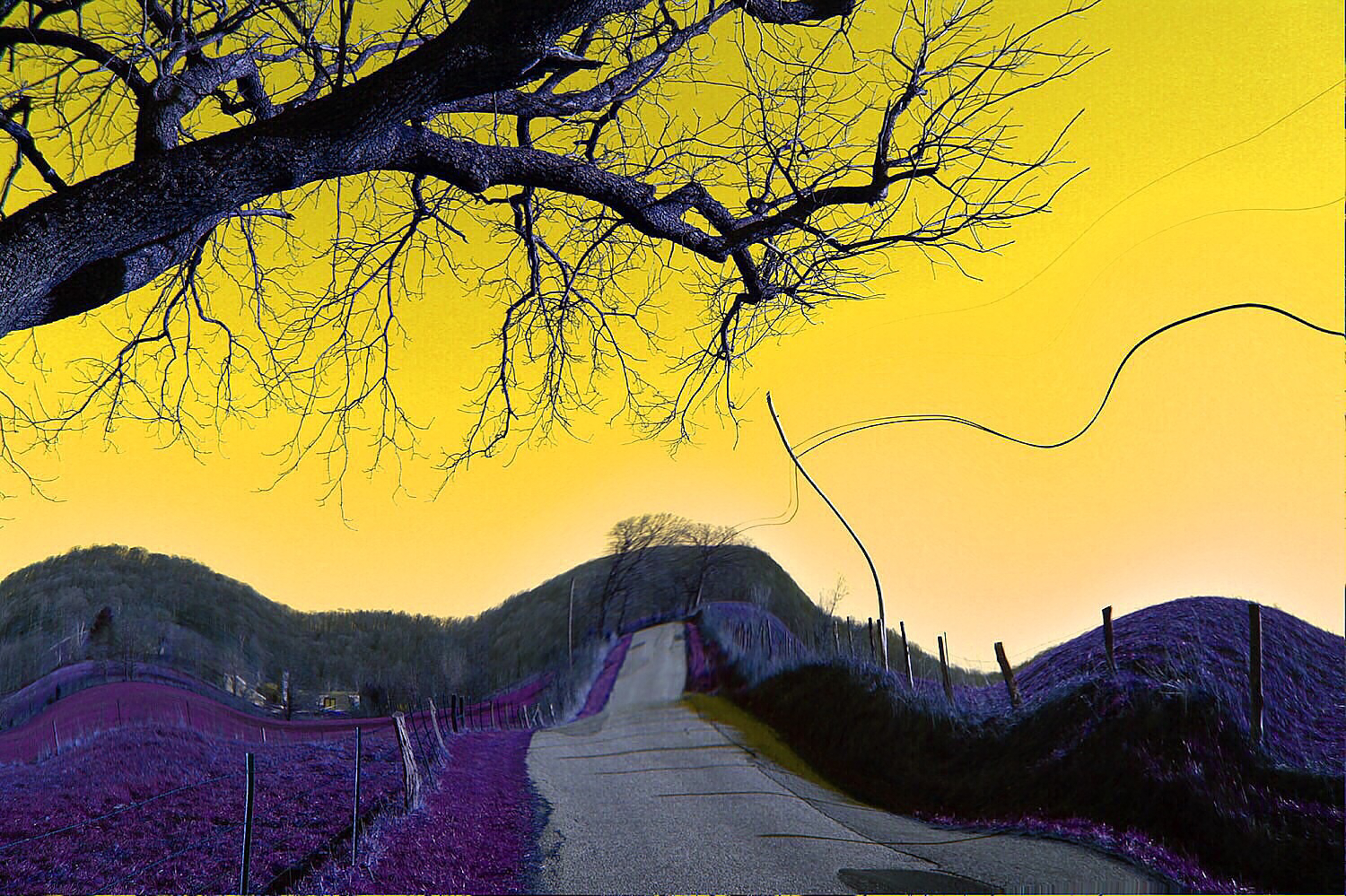 Adam Starr | Foundation