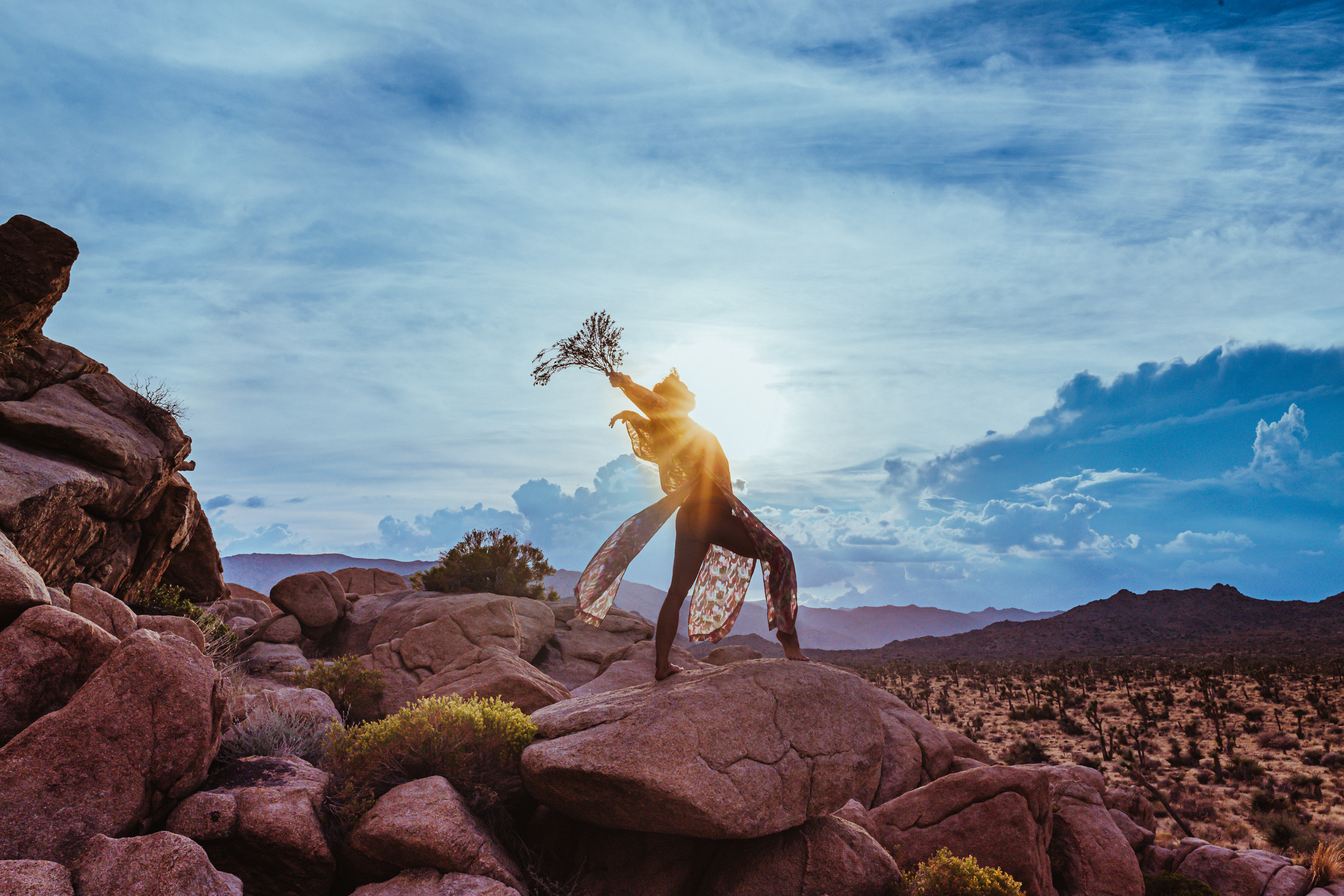 Art Alchemy | Foundation