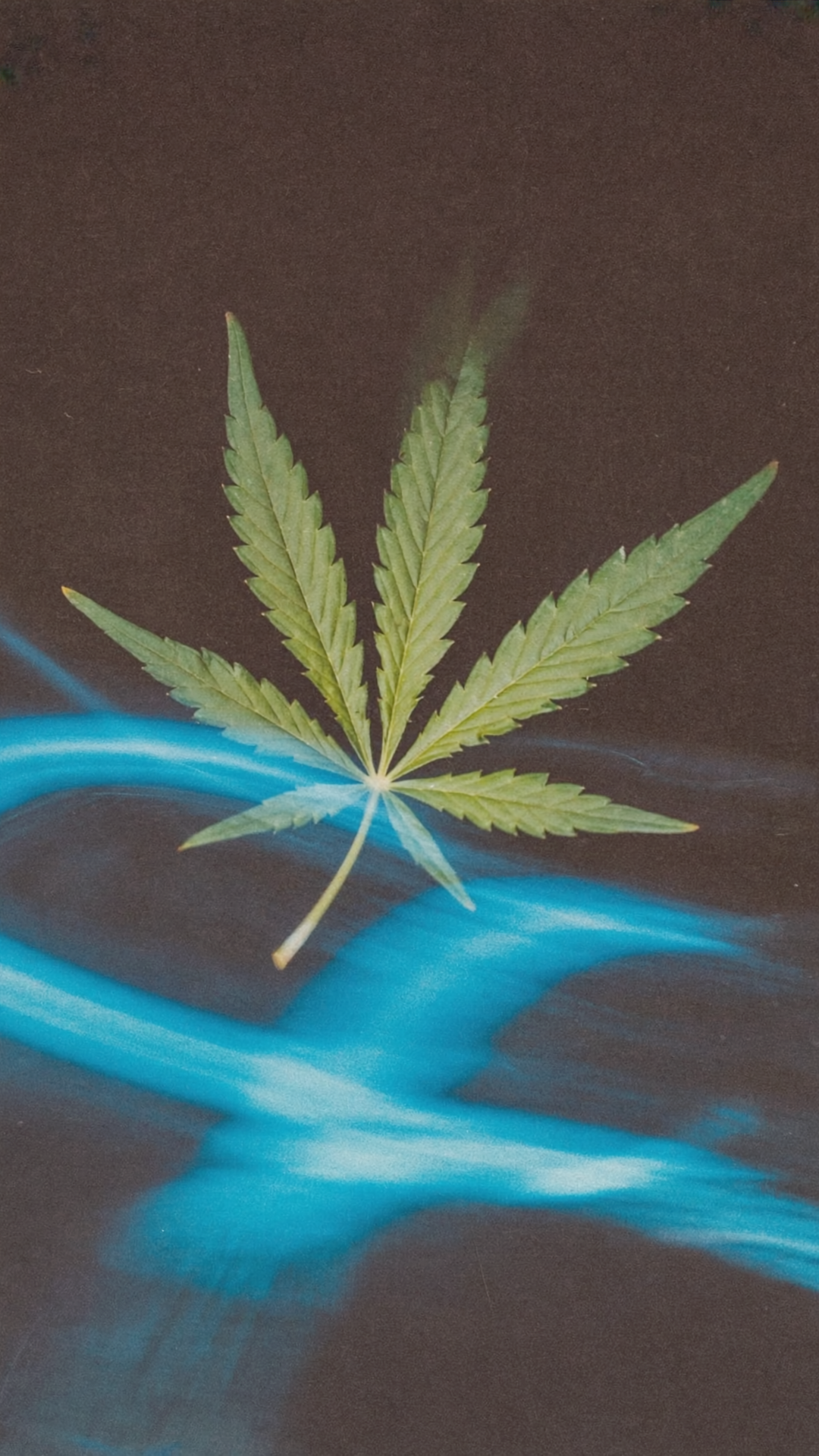 Just 420 Things | Foundation