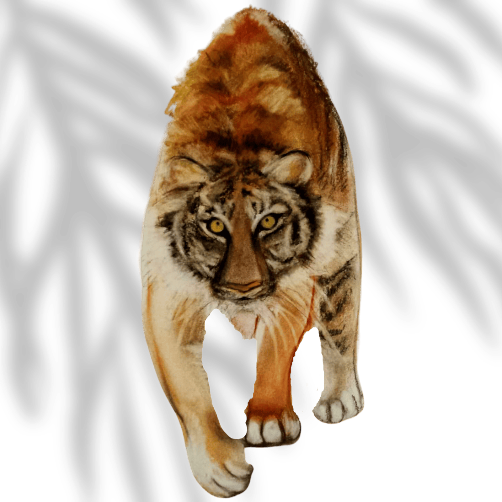 Sun Tiger | Foundation