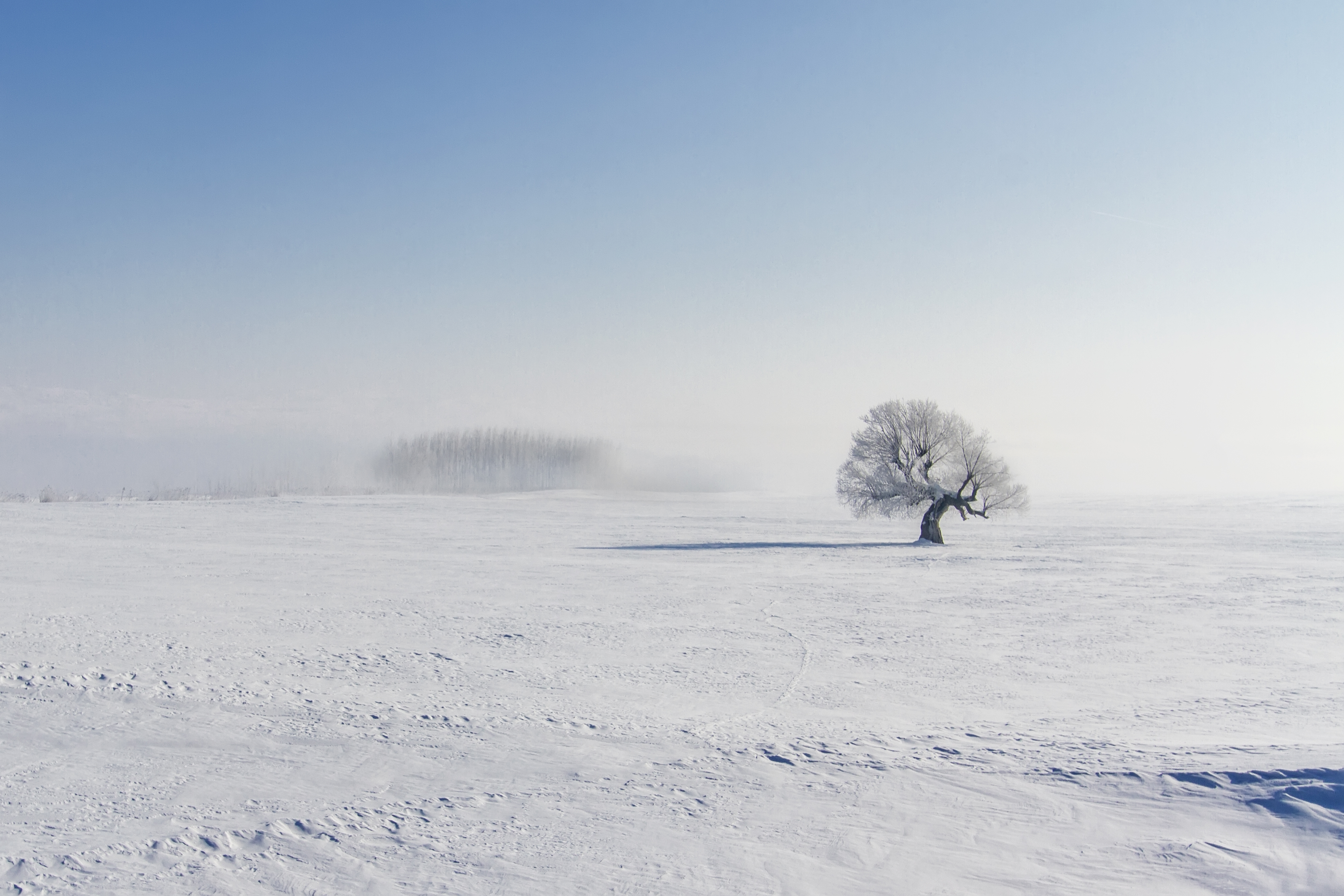 MY EIGHTH COLOR | Foundation
