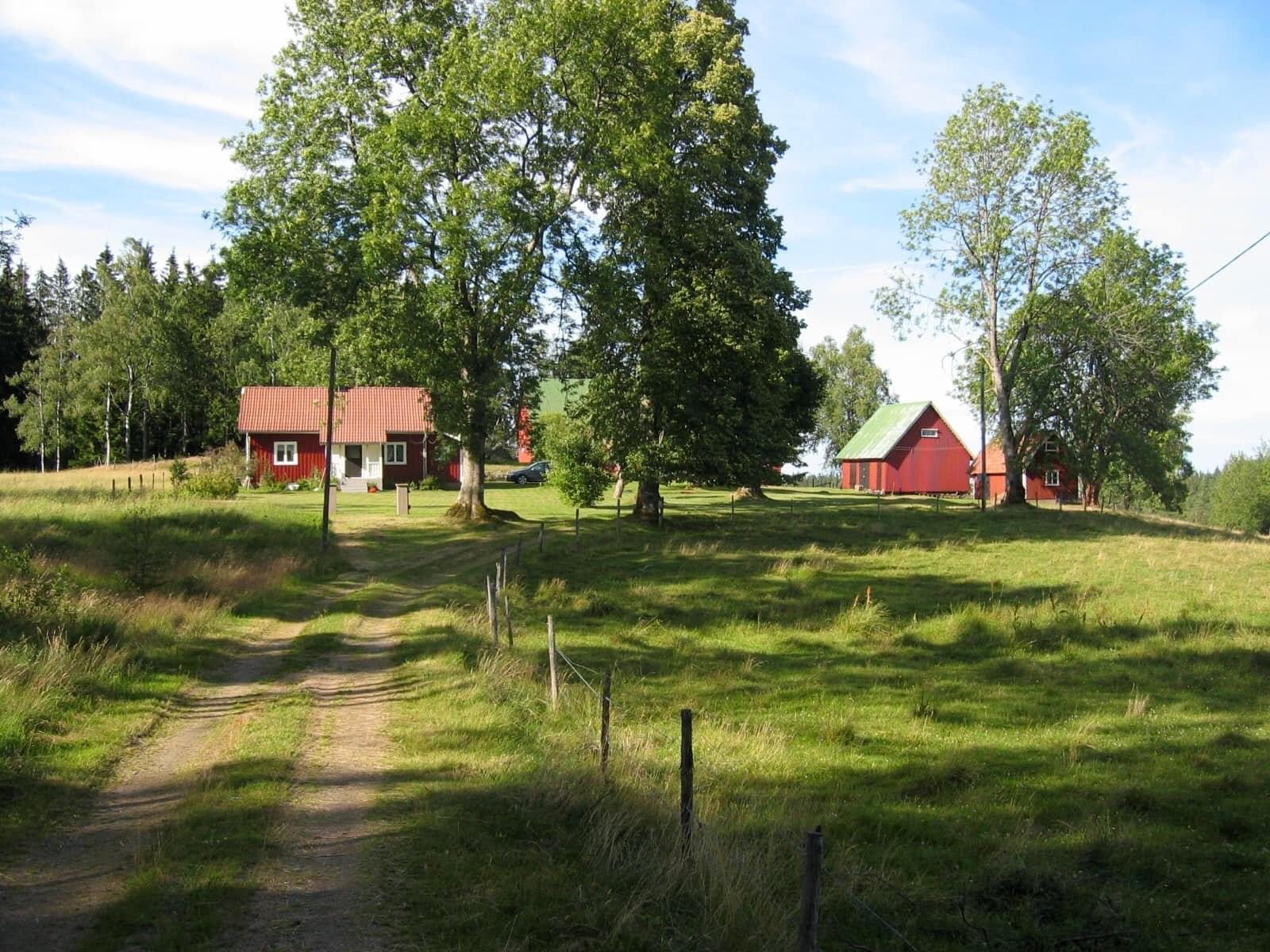 Collect your order here | Foundation