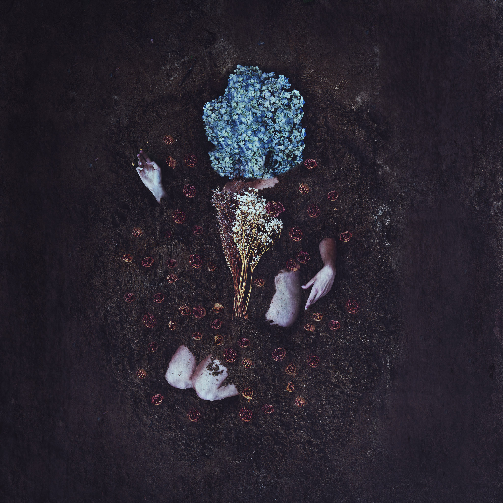 Jay Coy Photography | Foundation