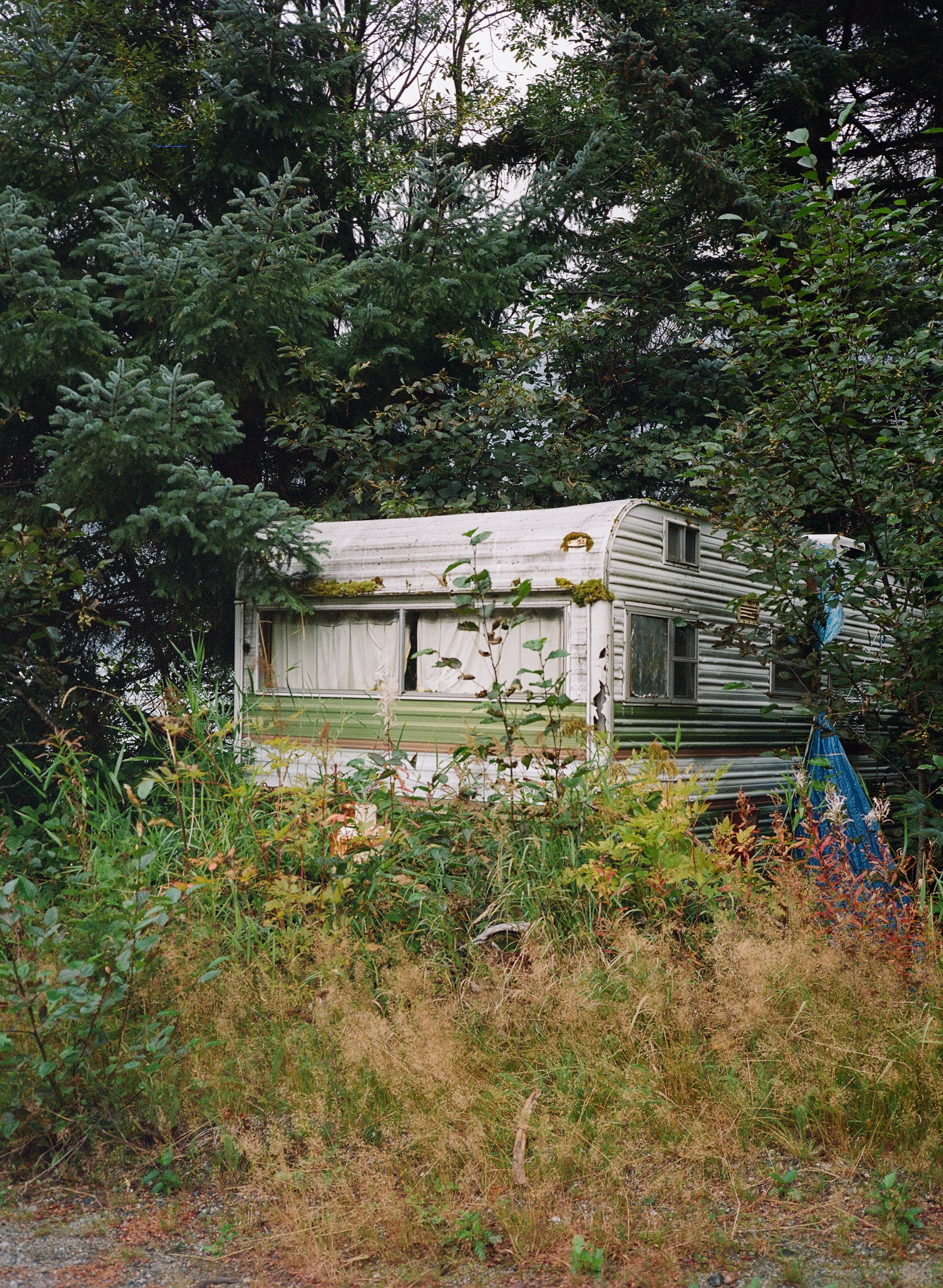 Analog World | Foundation