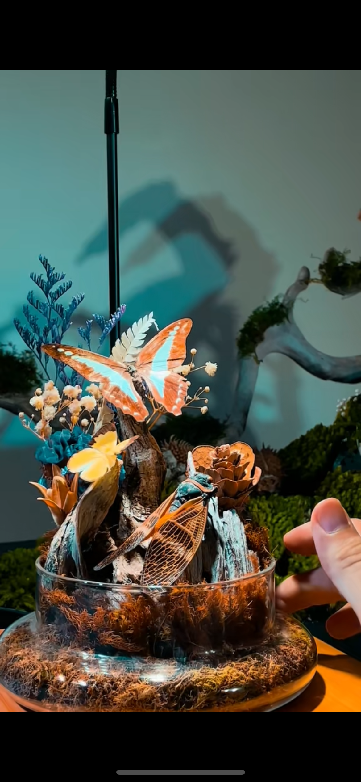 Butterfly and Flower | Foundation