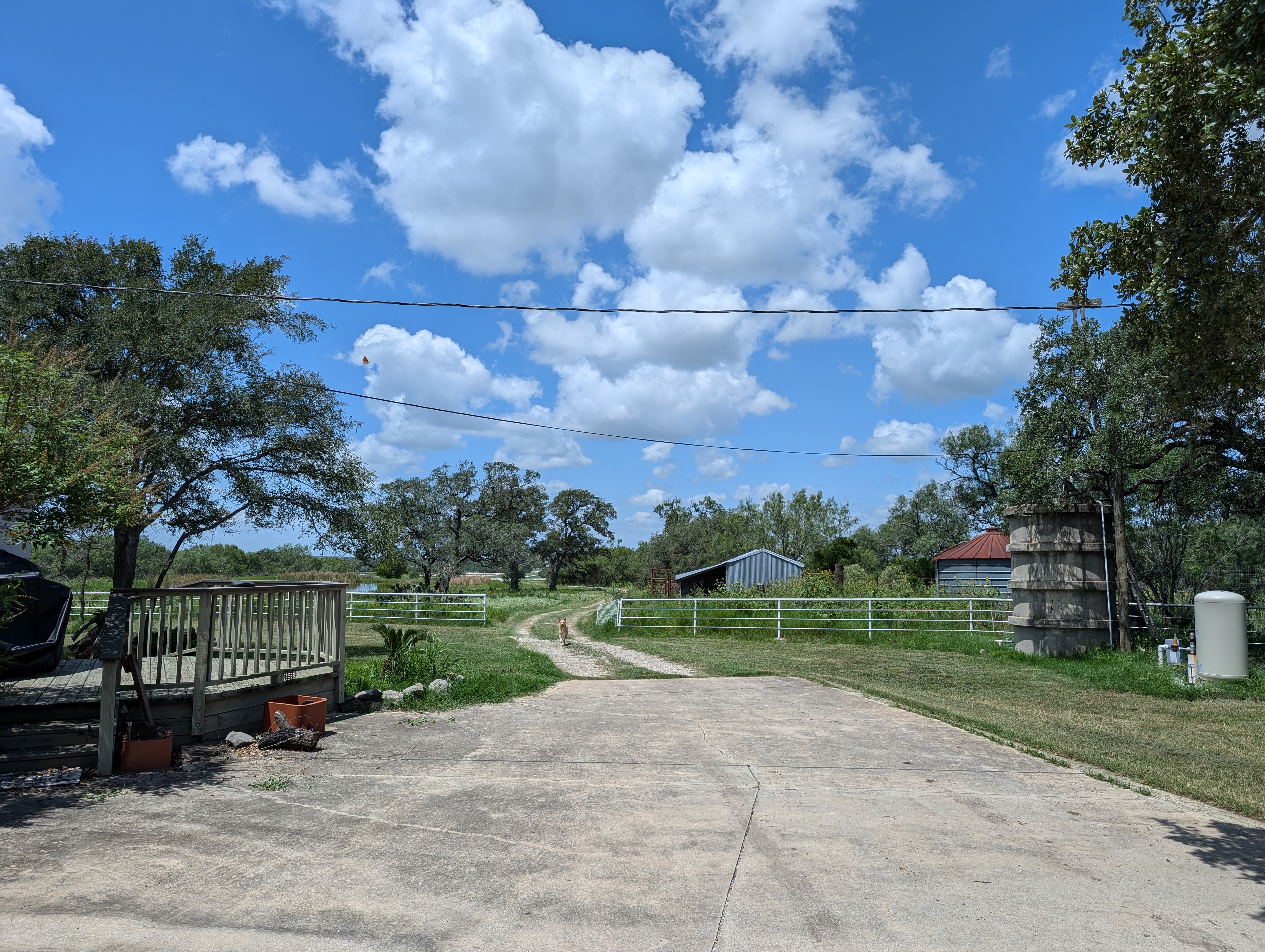 Farm Files | Foundation