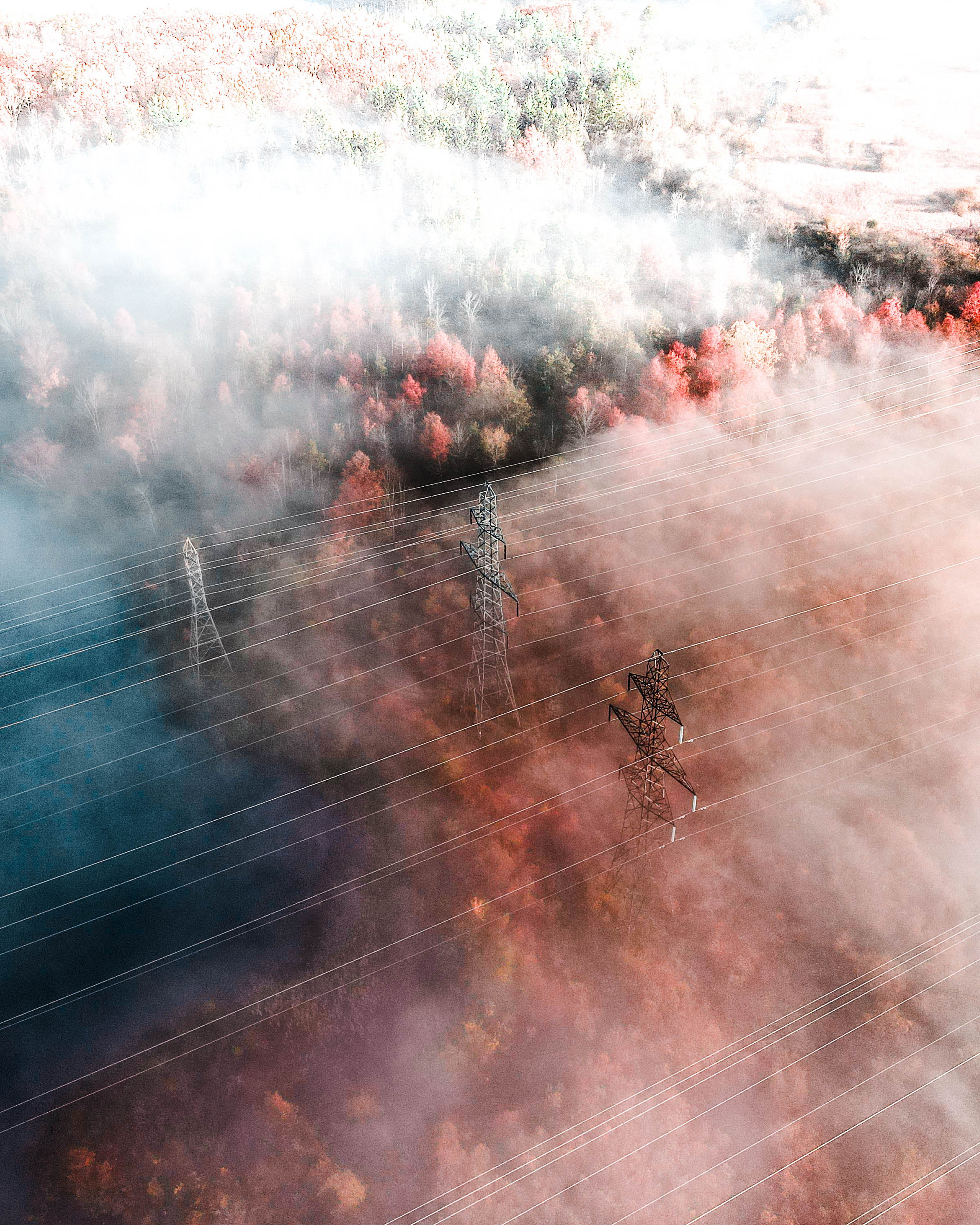 Juice Provider | Foundation