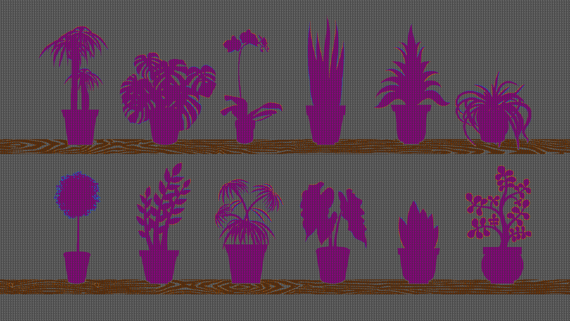 Plant Shelf | Foundation