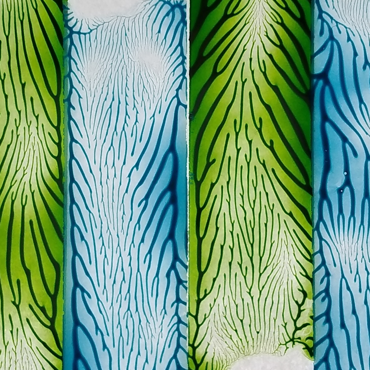 Unplanned Plans | Foundation