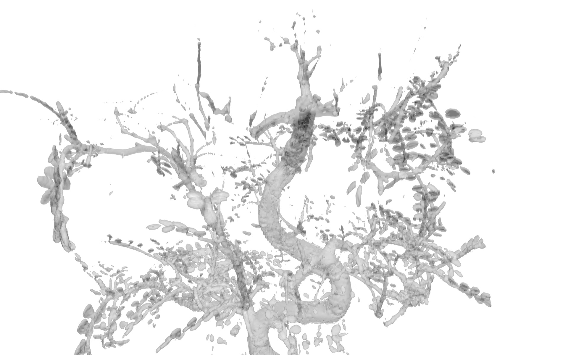 Archive of Digital Plants | Foundation