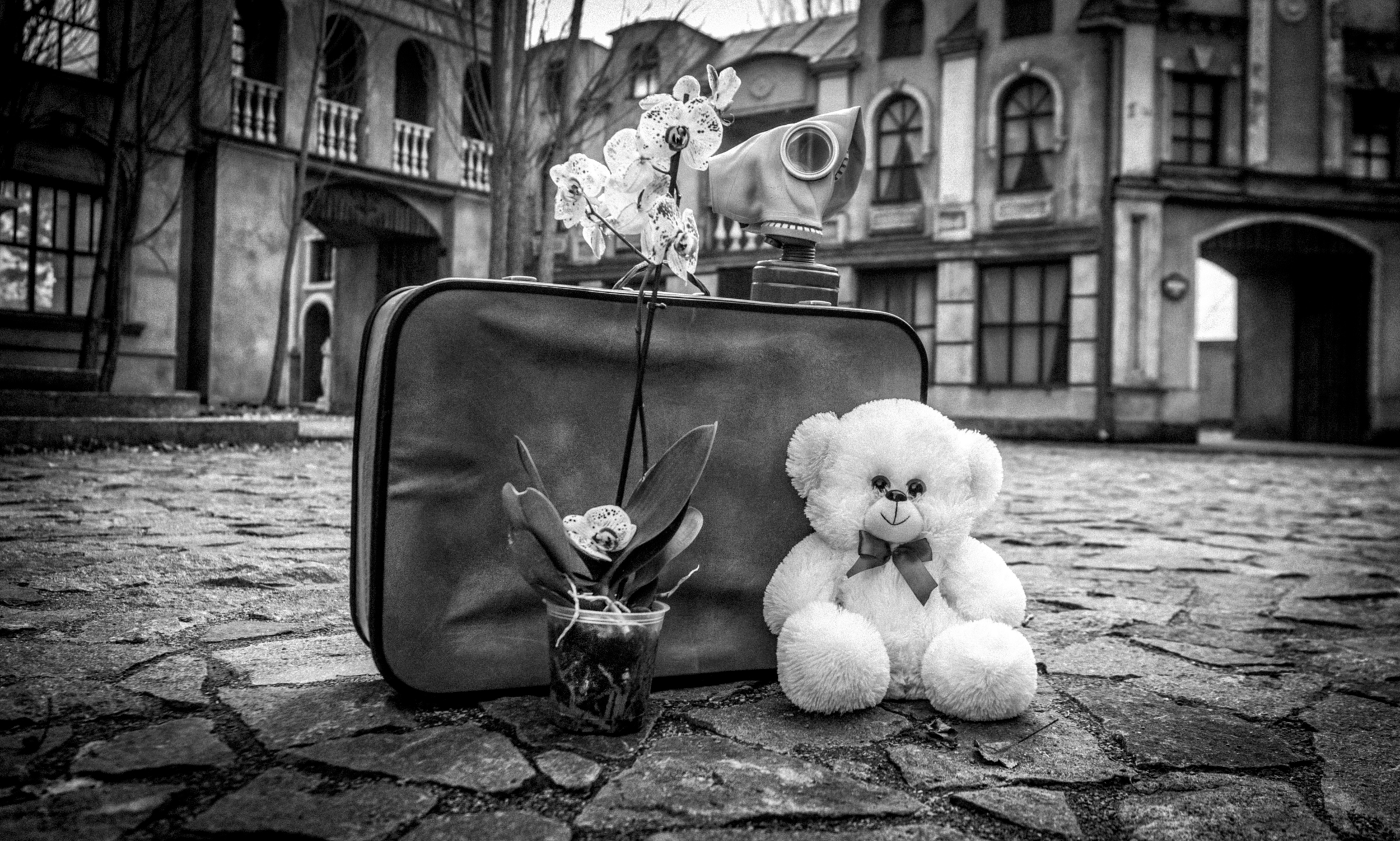 Looking for life | Foundation