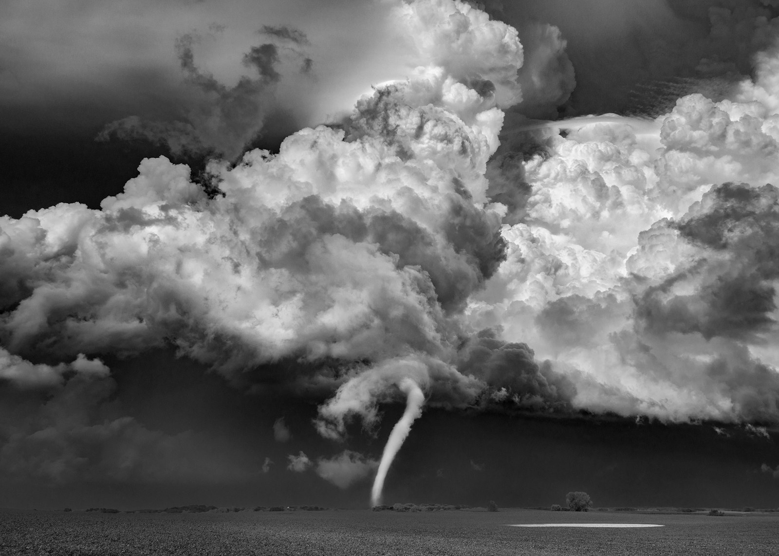 Art of The Storm | Foundation