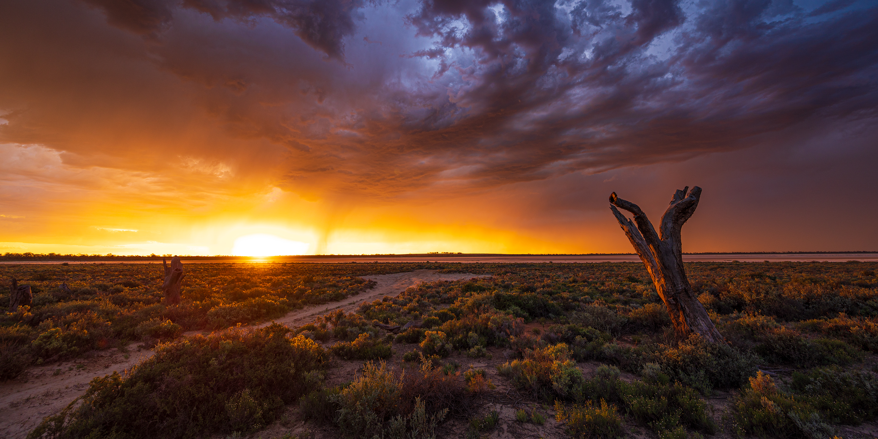 Vast Depth - Light Scatter | Foundation