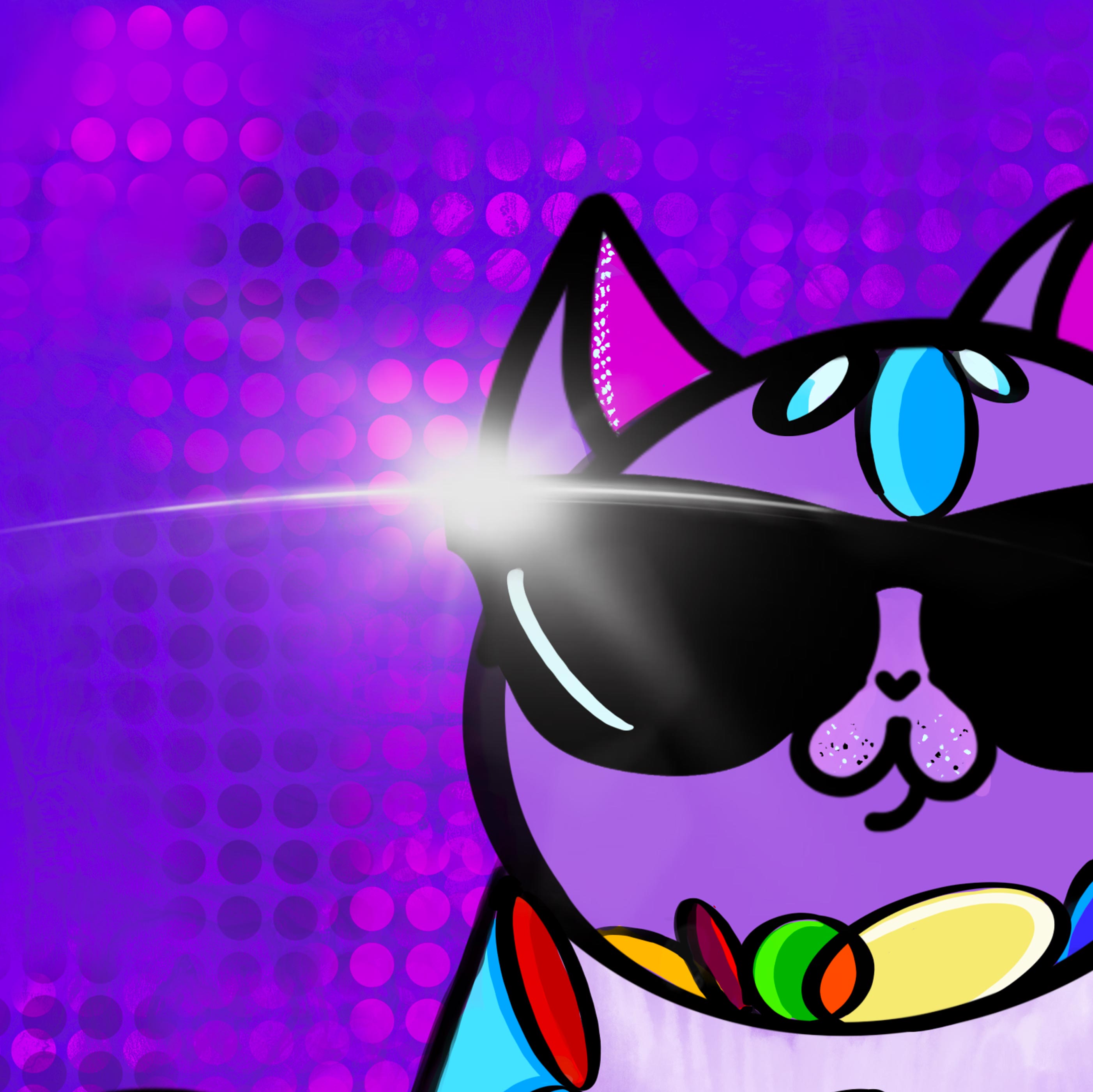 Chubby Kitty | Foundation