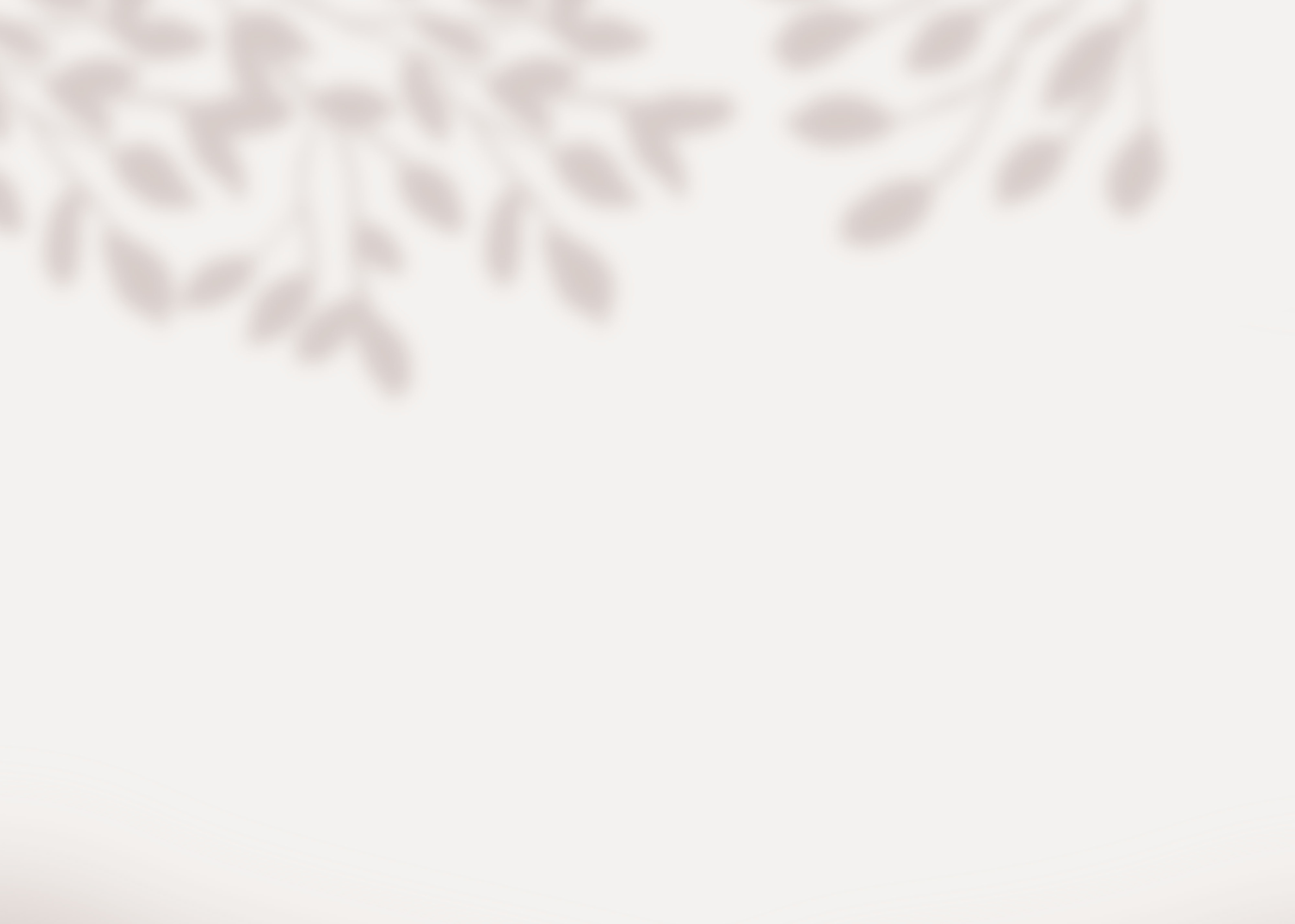 Fantastic Something | Foundation