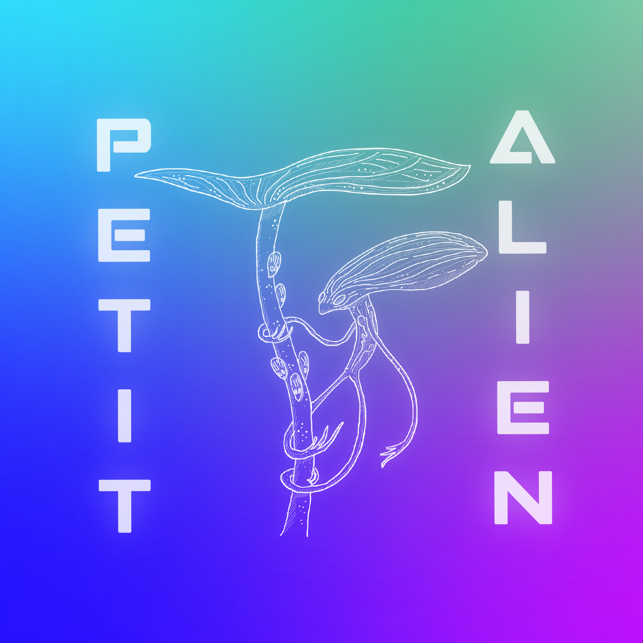 PETIT ALIEN | Foundation
