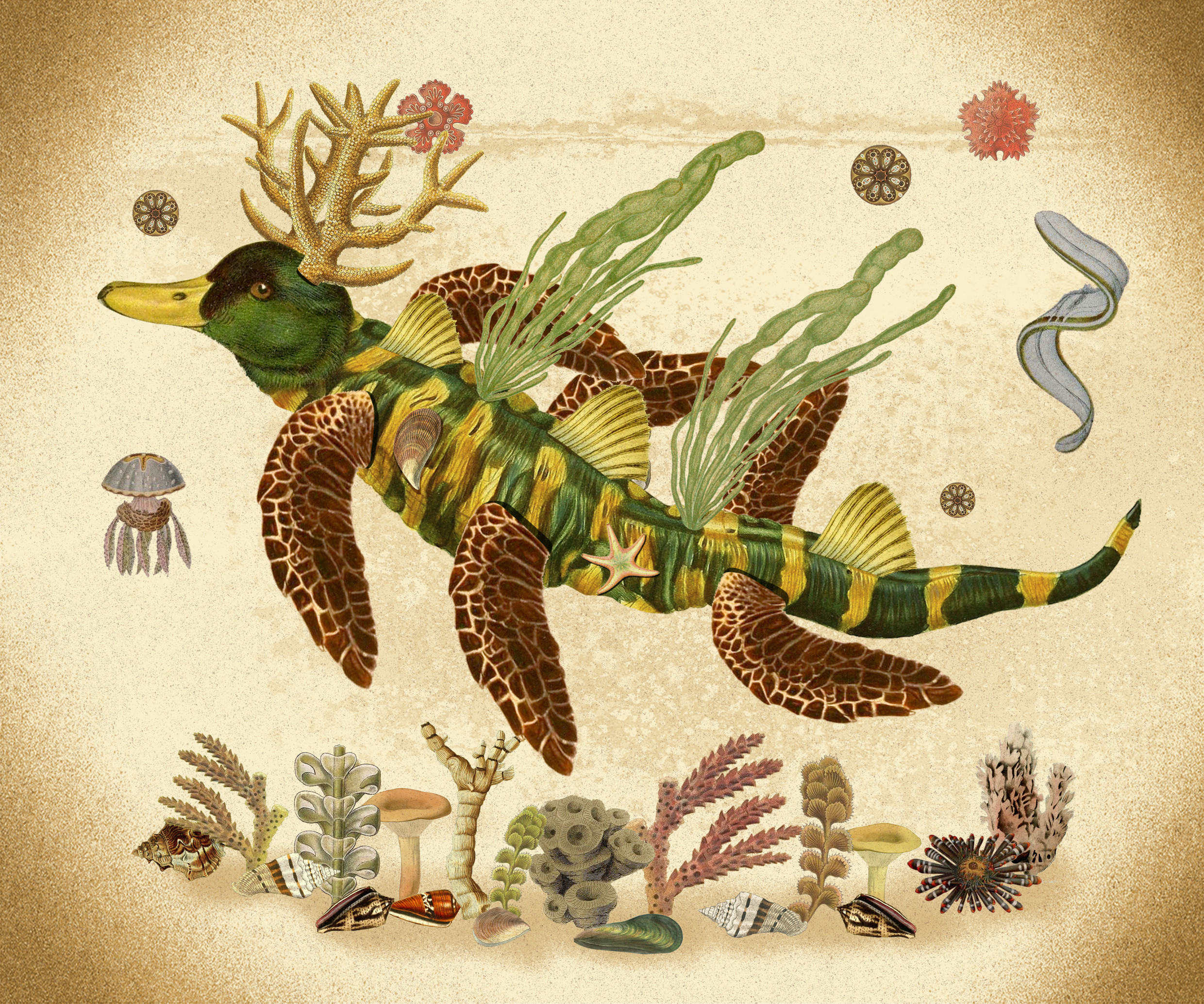 Mythical Creatures | Foundation