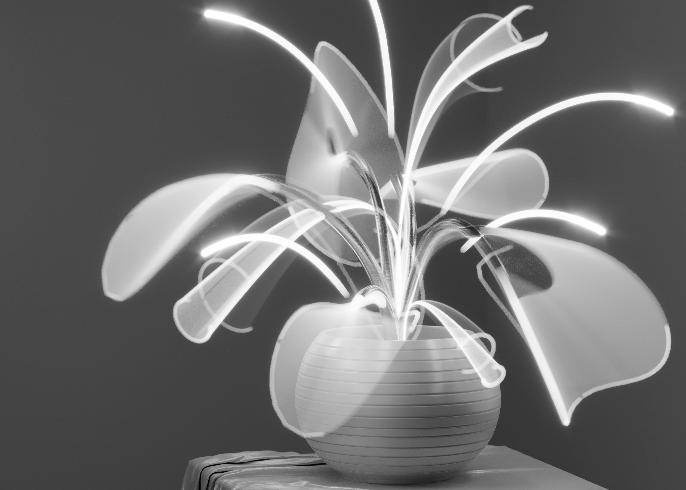 Light ballet | Foundation