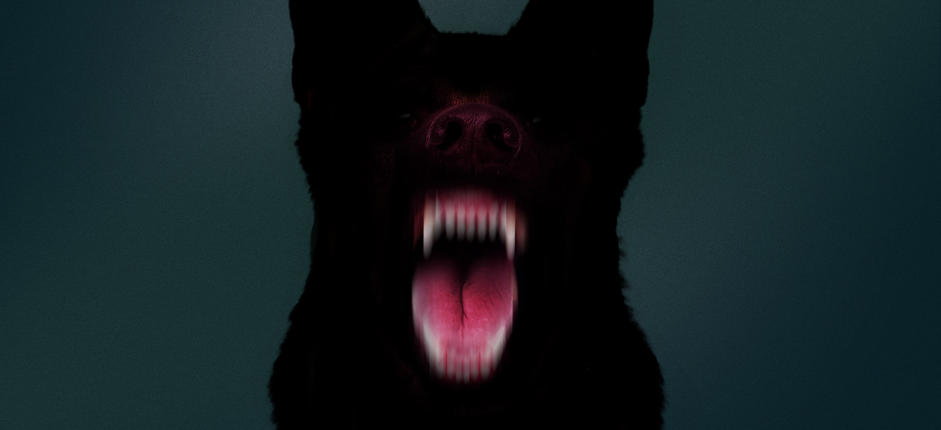 'Mongrel - Same Same, but Different' | Foundation