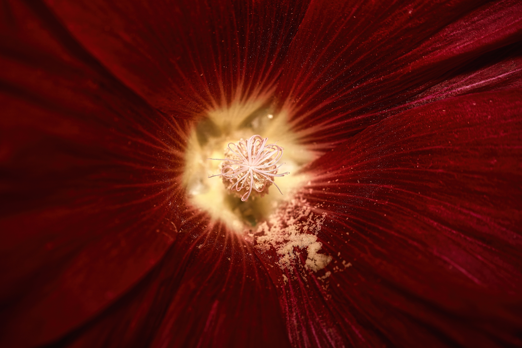 the unseen | Foundation