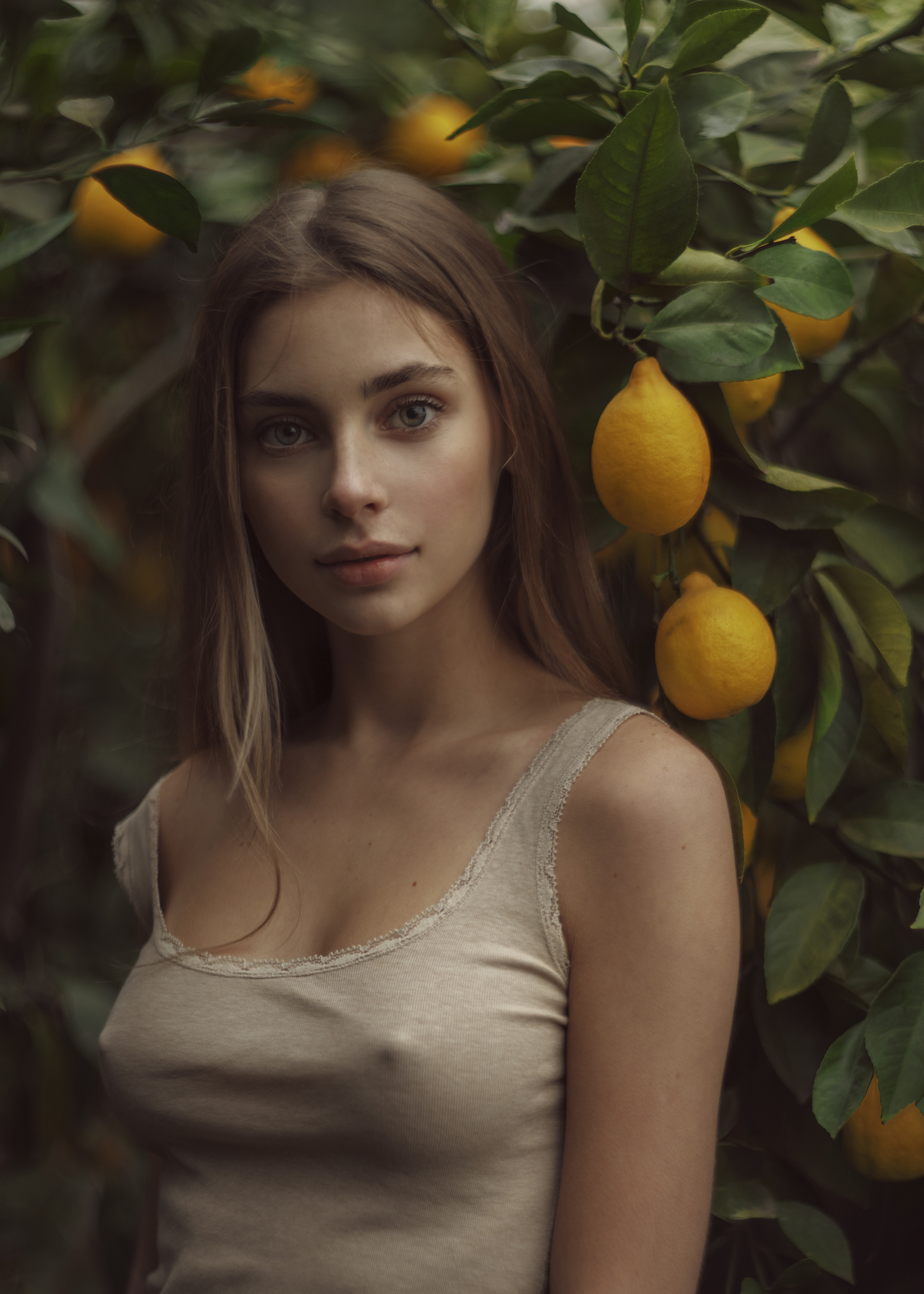 Lemon paradise | Foundation